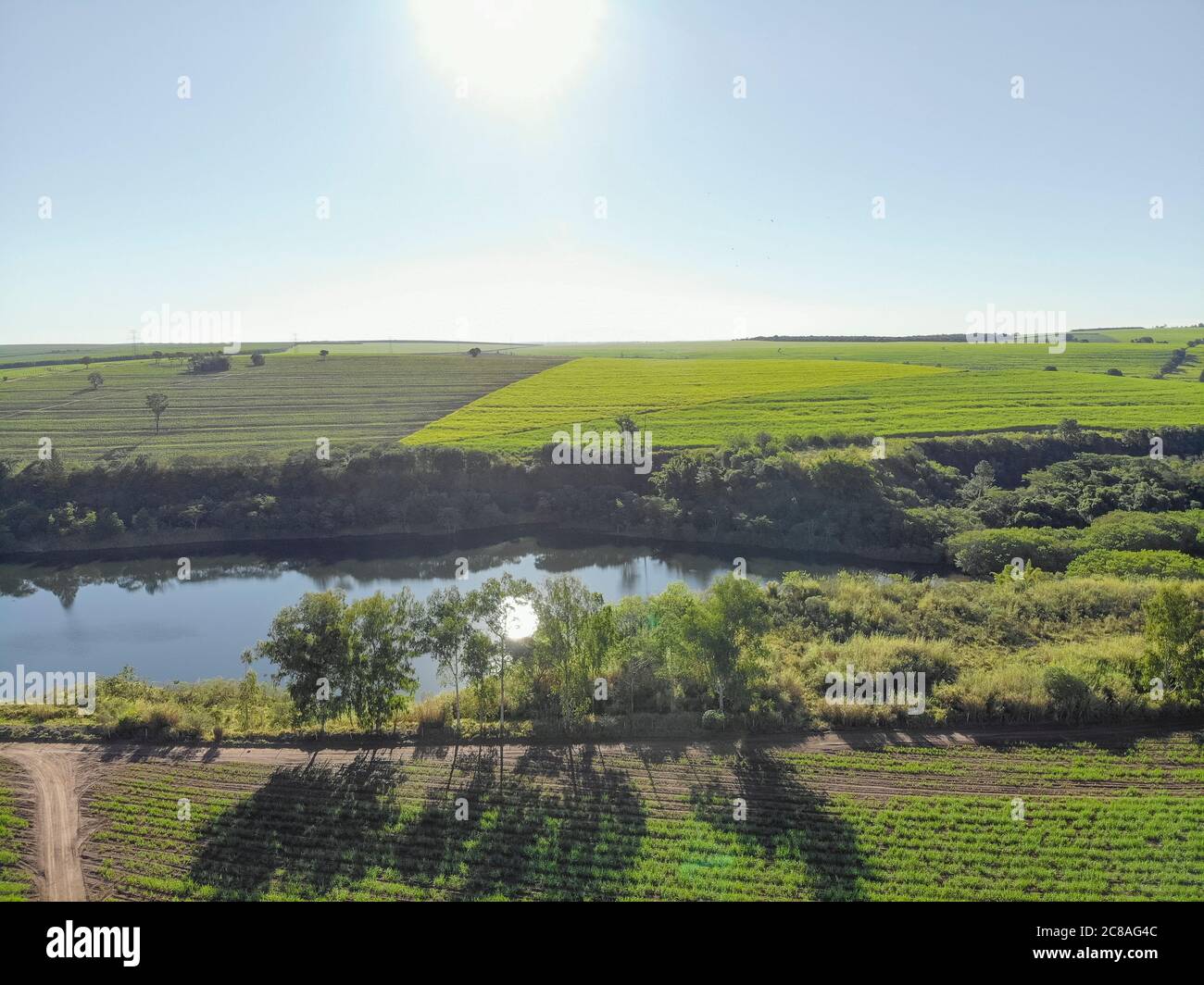 Aerial sugarcane field in Brazil and beautiful lake Stock Photo - Alamy