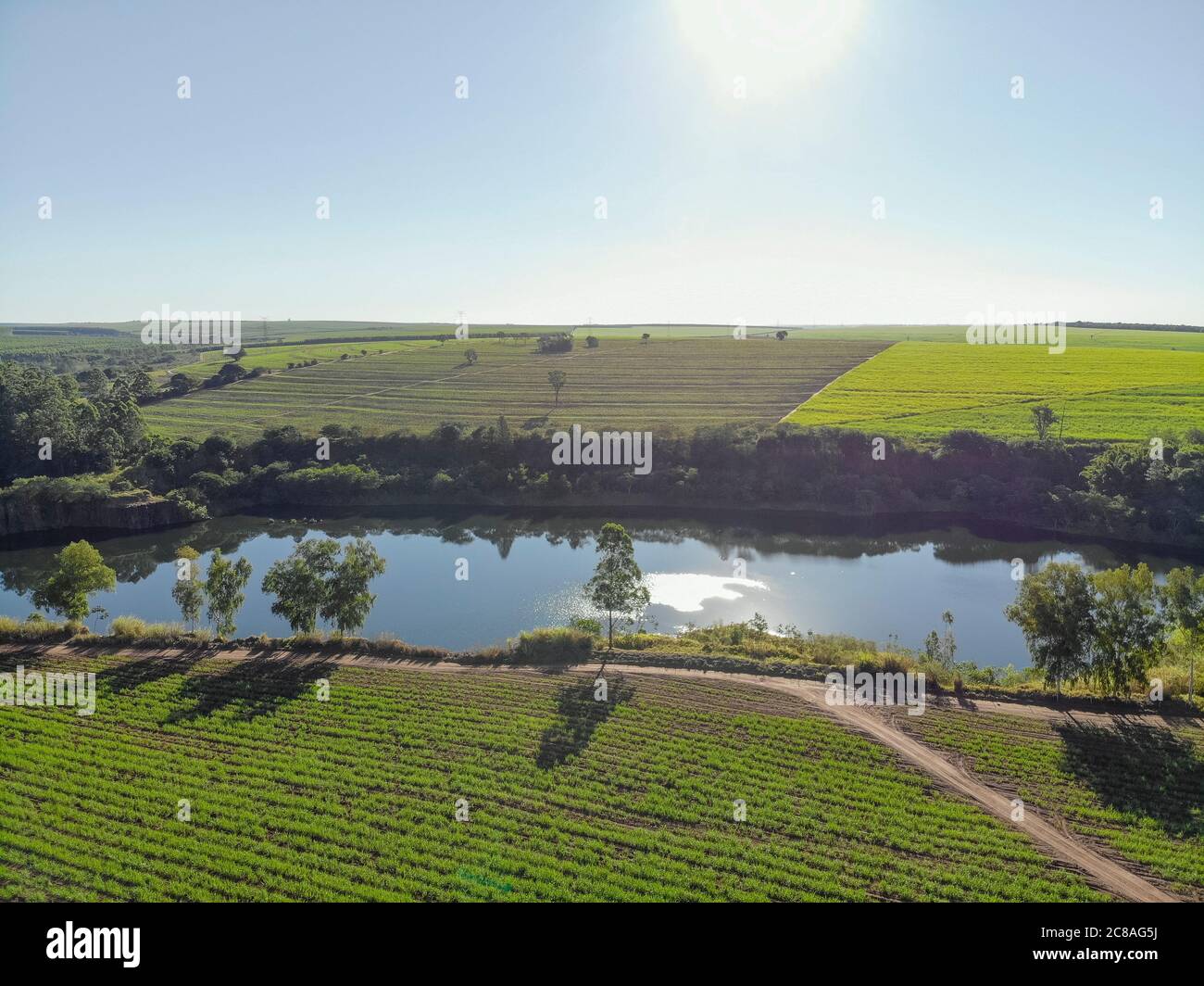 Aerial sugarcane field in Brazil and beautiful lake Stock Photo - Alamy
