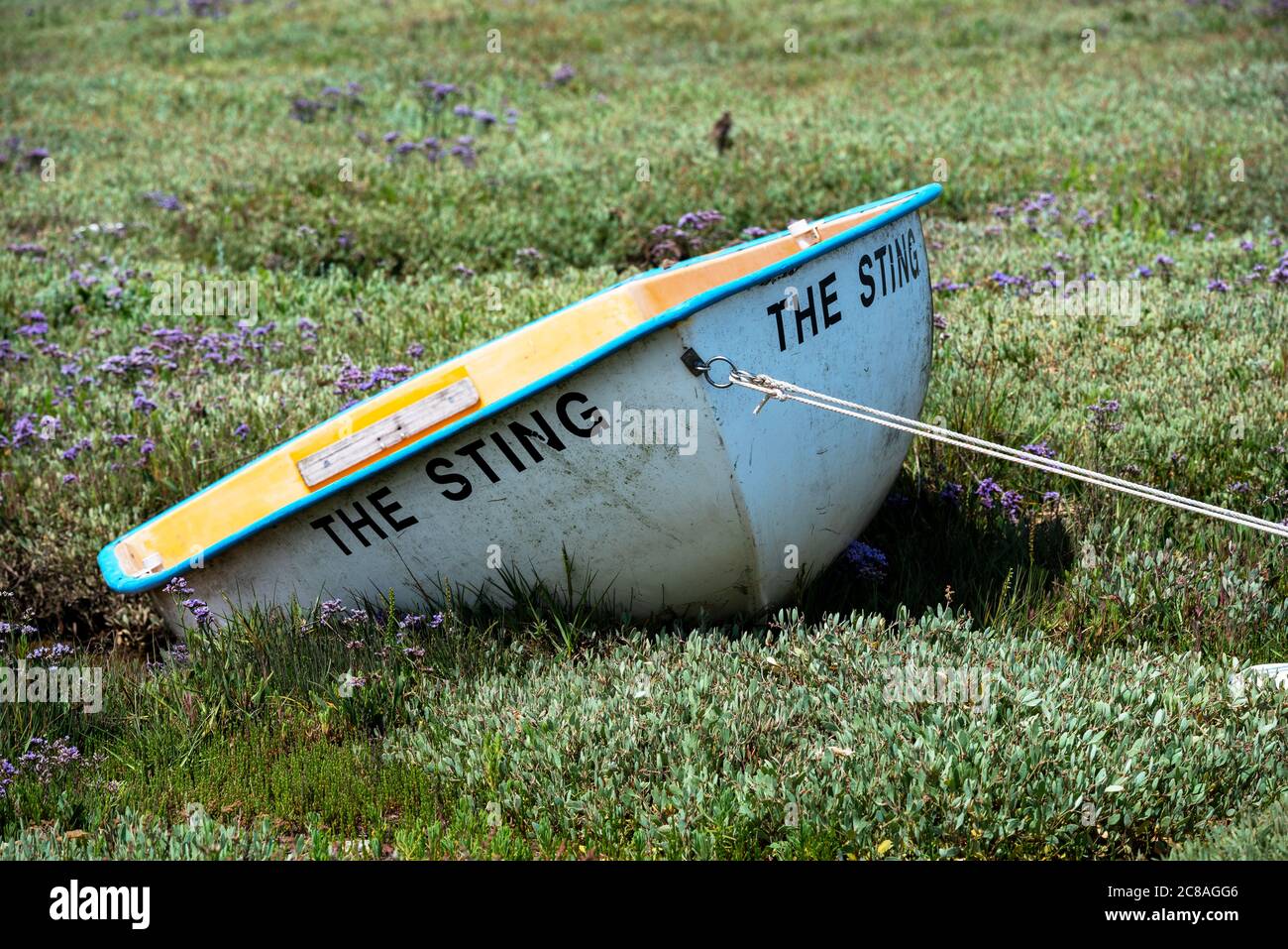 Boat Mini Sting