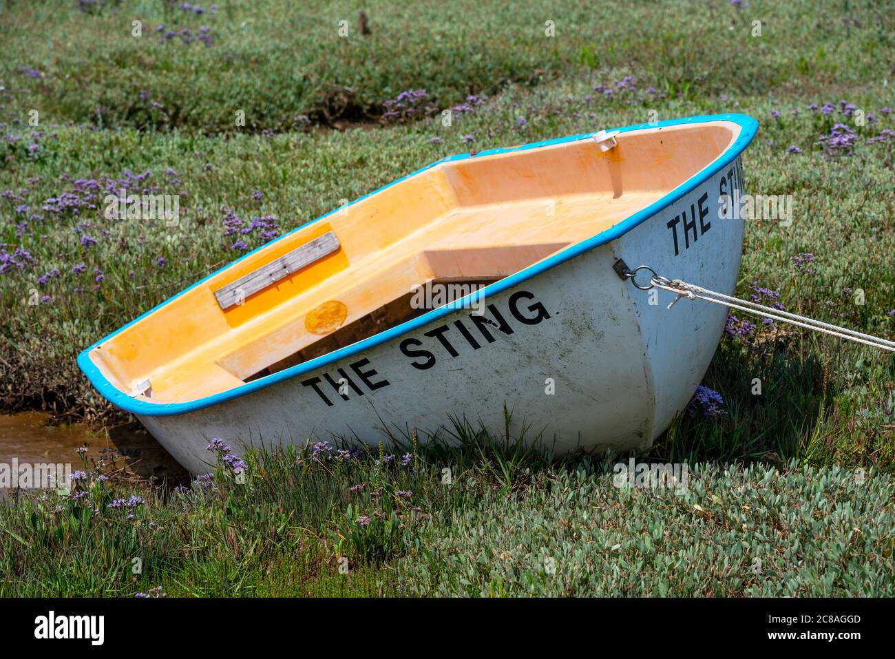 Boat Mini Sting