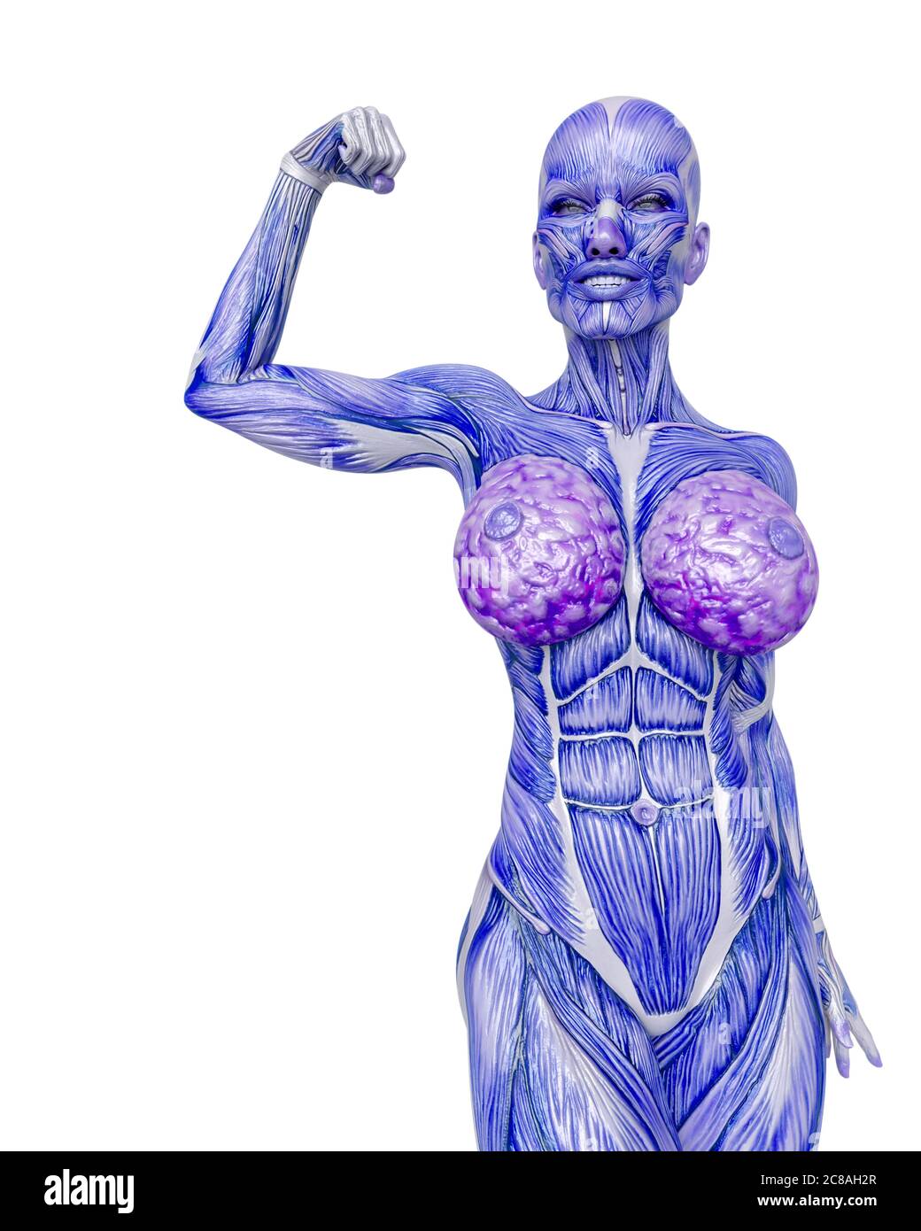 female bodybuilding in muscle maps is doing a bodybuilder pose seven in white background close ...