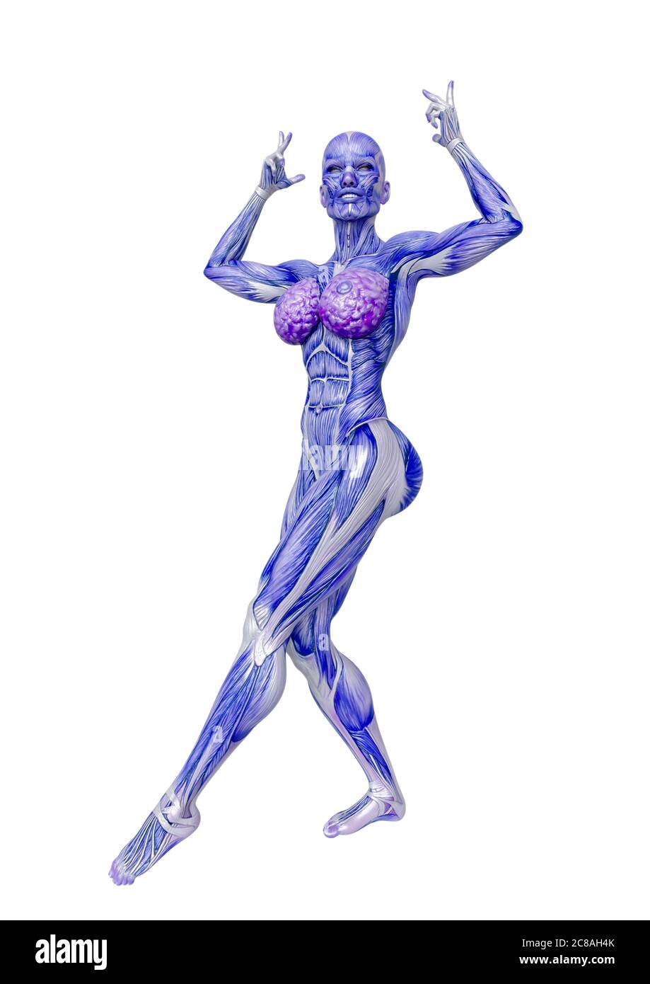 female bodybuilding in muscle maps is doing a bodybuilder pose nine in white background close up ...