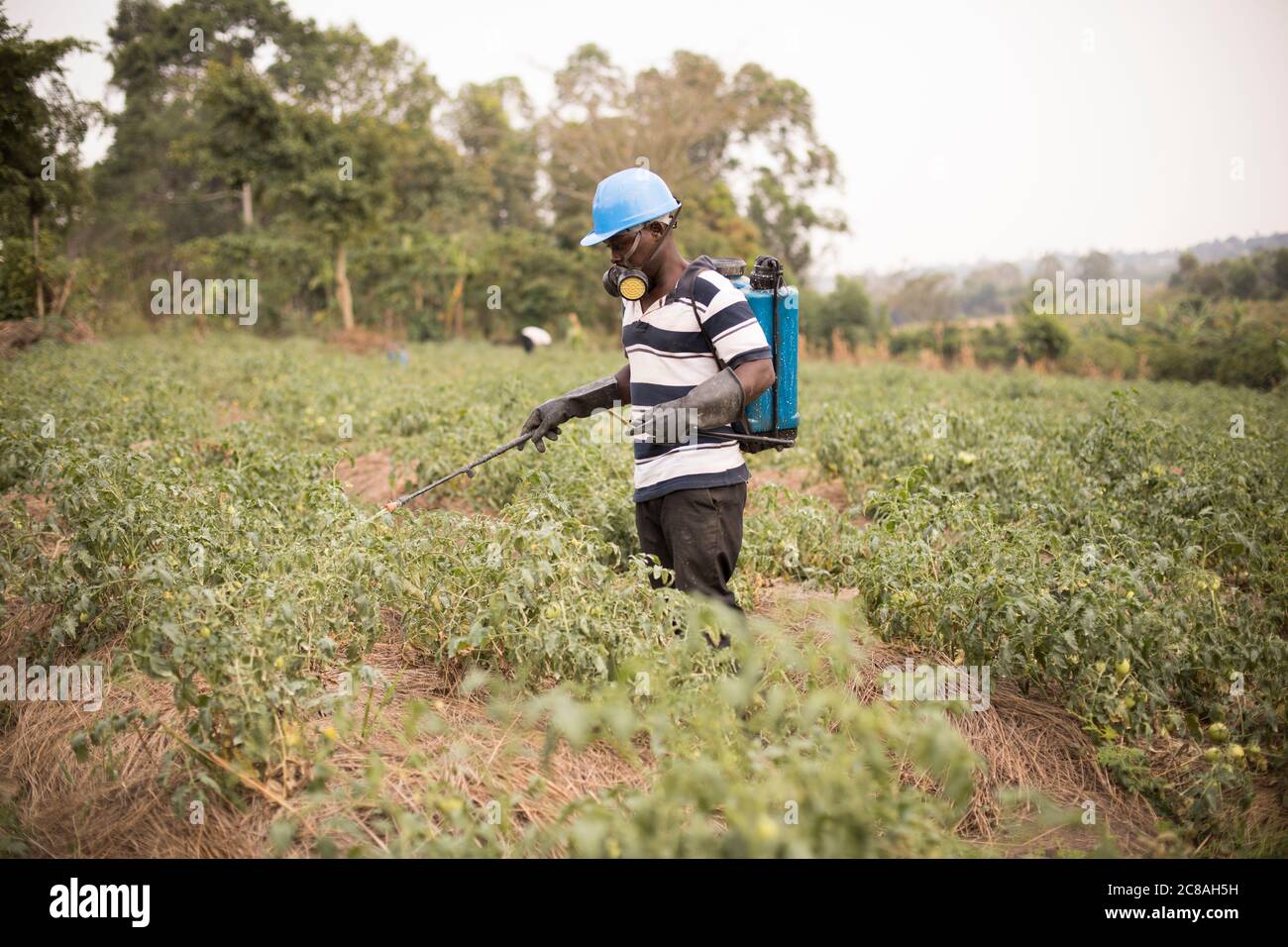 Agriculture sprayer hi-res stock photography and images - Alamy