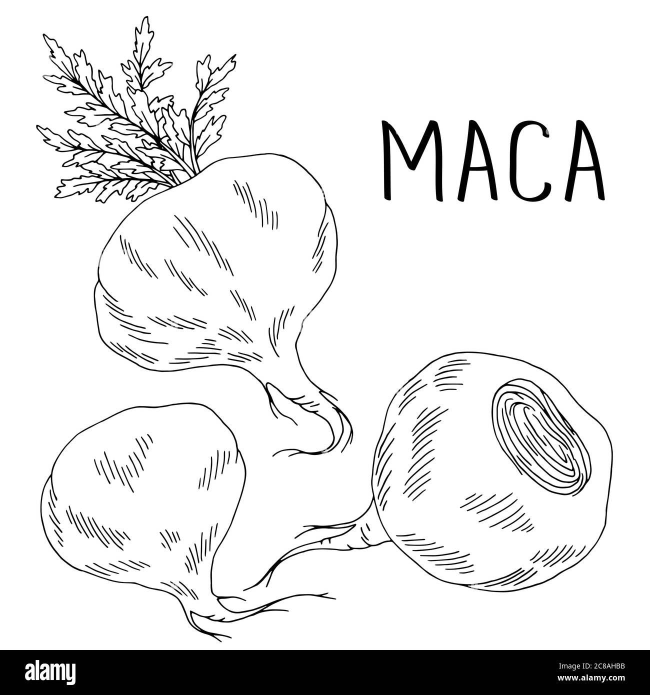 Maca plant Black and White Stock Photos & Images - Alamy