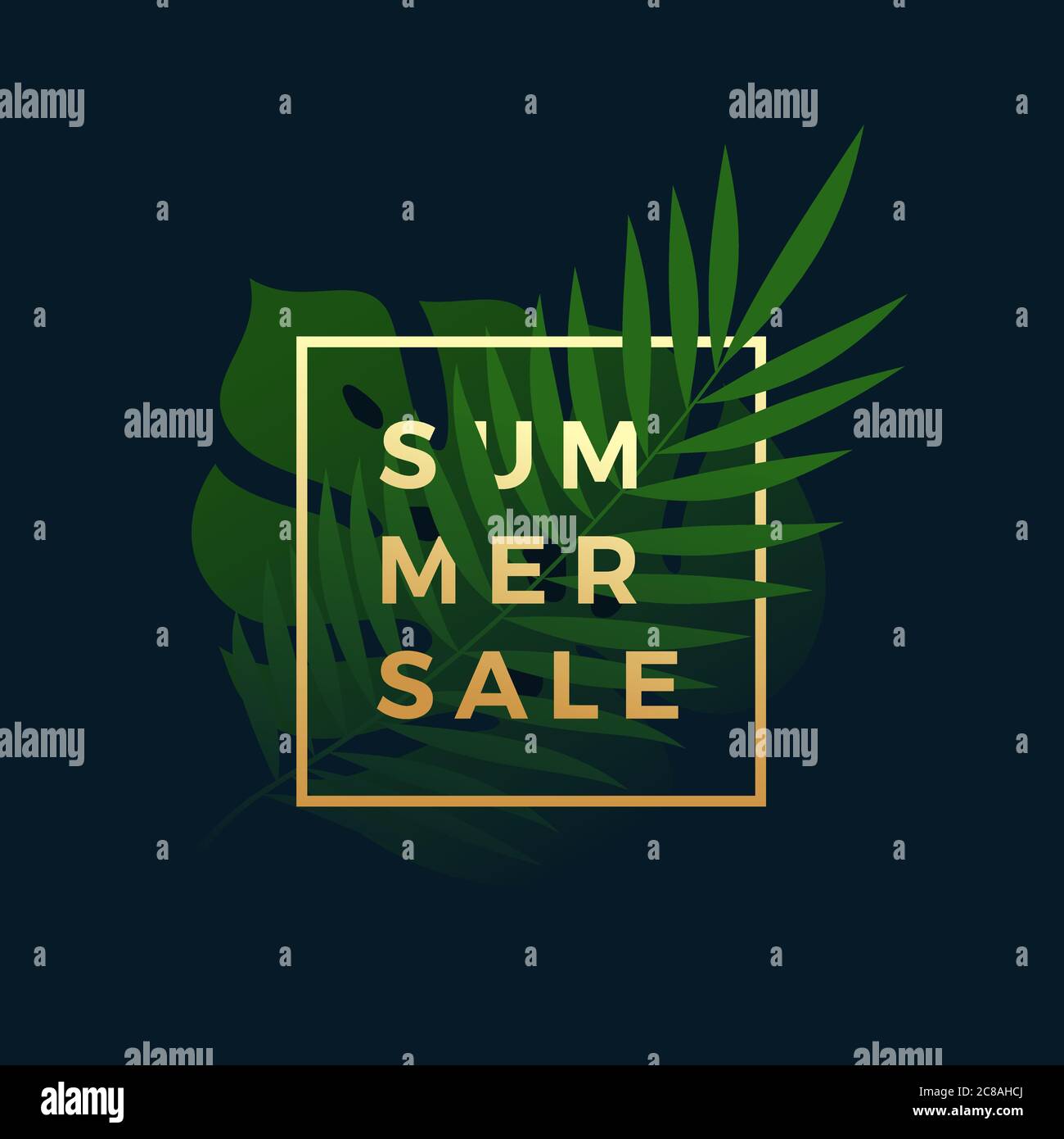 Monstera leaves shadow in Stock Vector Images - Alamy