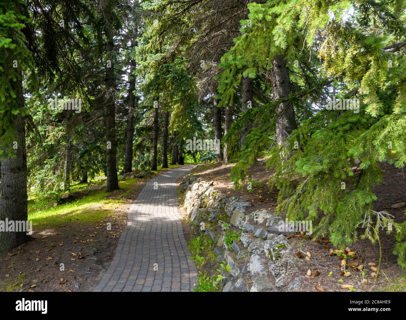 Calgary trail north hi-res stock photography and images - Alamy