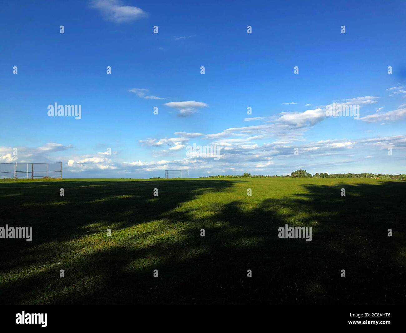 Trees cast shadow on meadow Stock Photo - Alamy