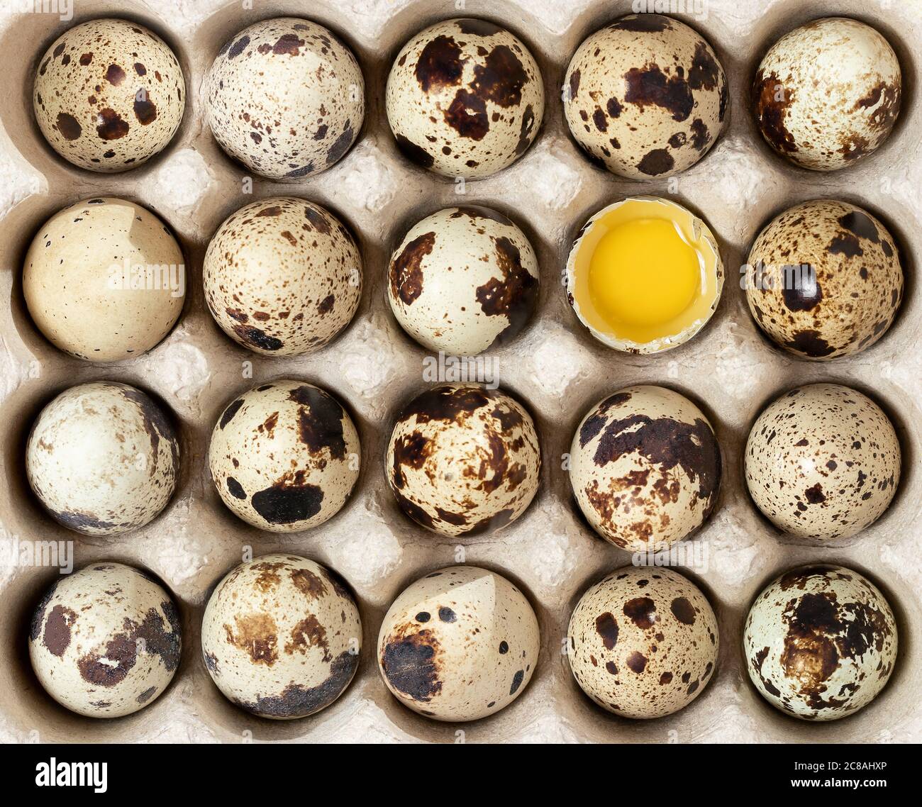 Mottled egg hi-res stock photography and images - Alamy