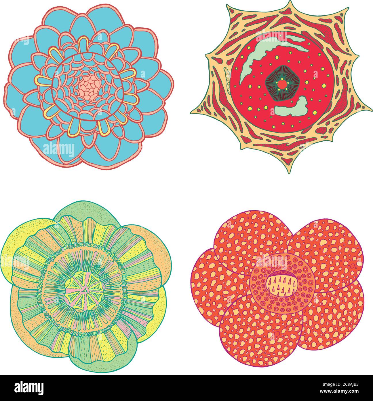 Set with 4 tropical flower mandalas. Colorful vector doodle illu Stock ...