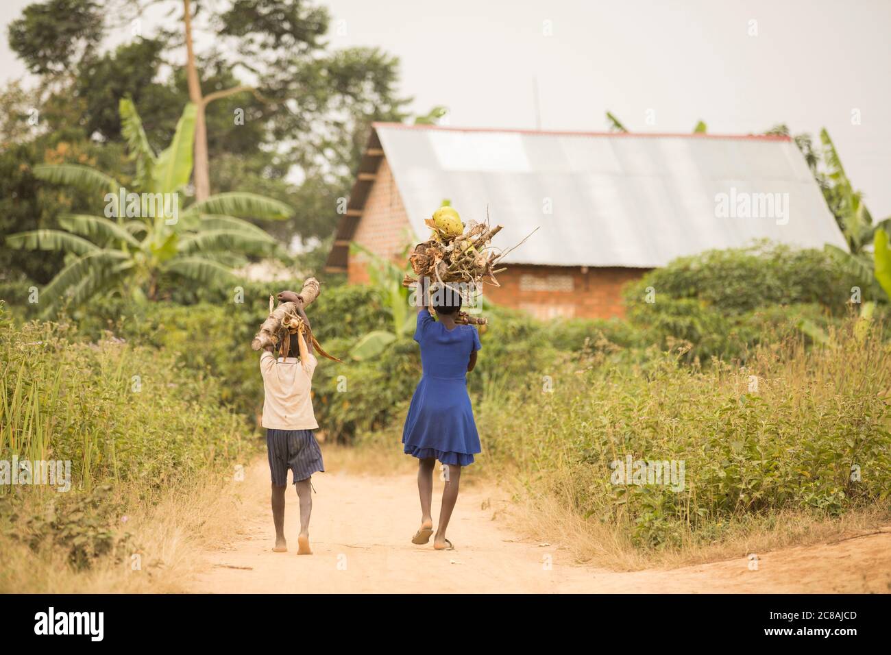 Children carry firewood down a village road in Masaka District, Uganda ...