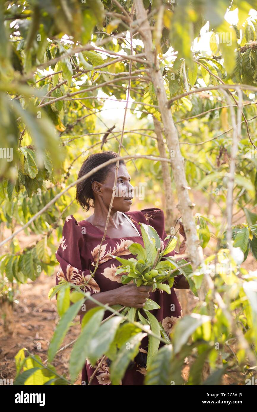 Profile portrait of a woman wearing a traditional Ugandan gomesi dress ...