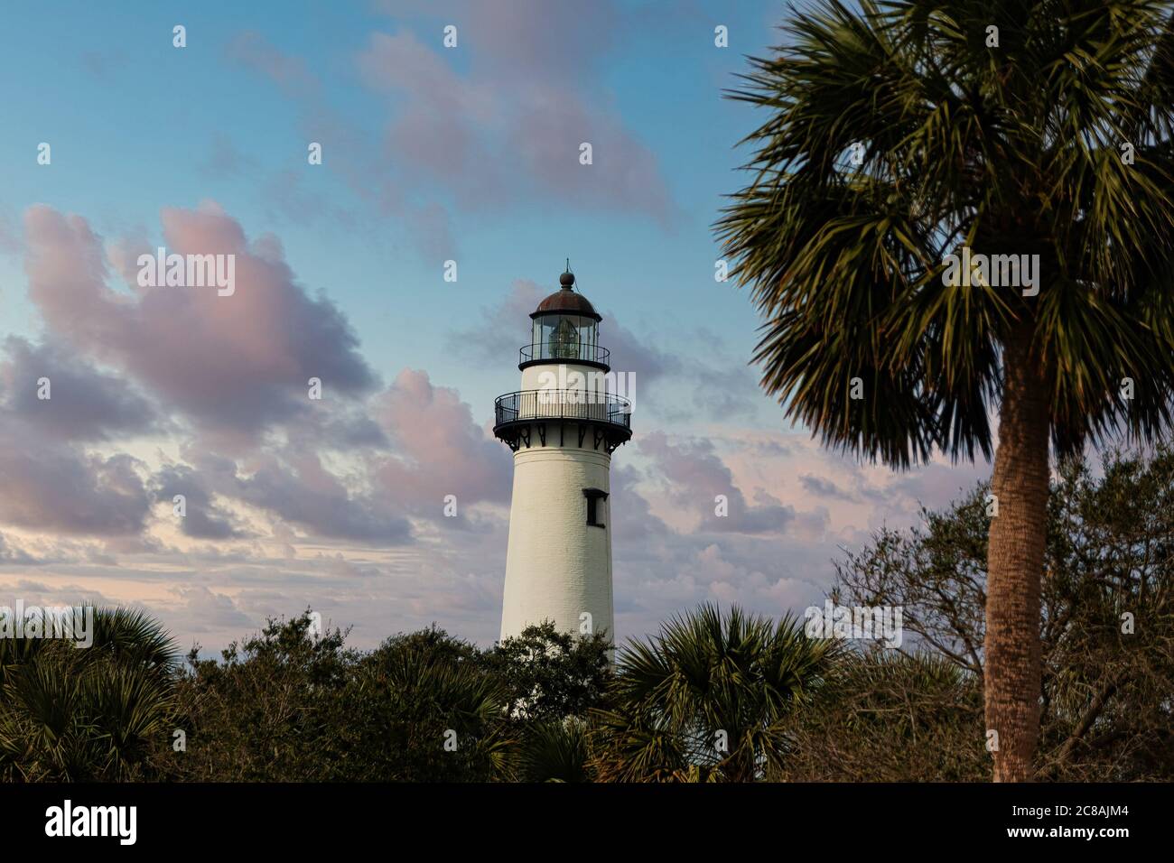 Palm Tree and Lighthouse at Dusk Stock Photo - Alamy