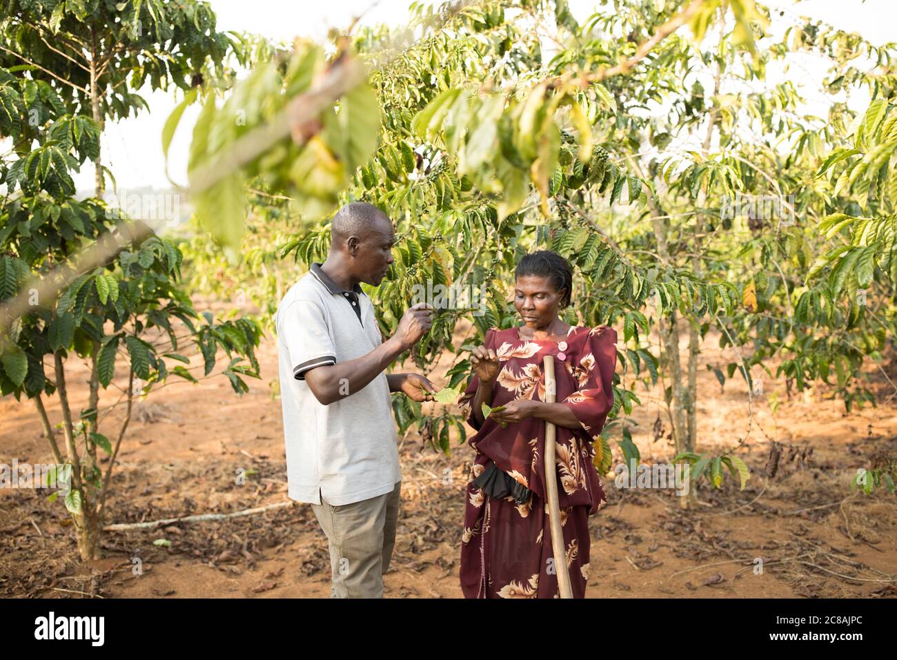 Farmer education africa hi-res stock photography and images - Alamy