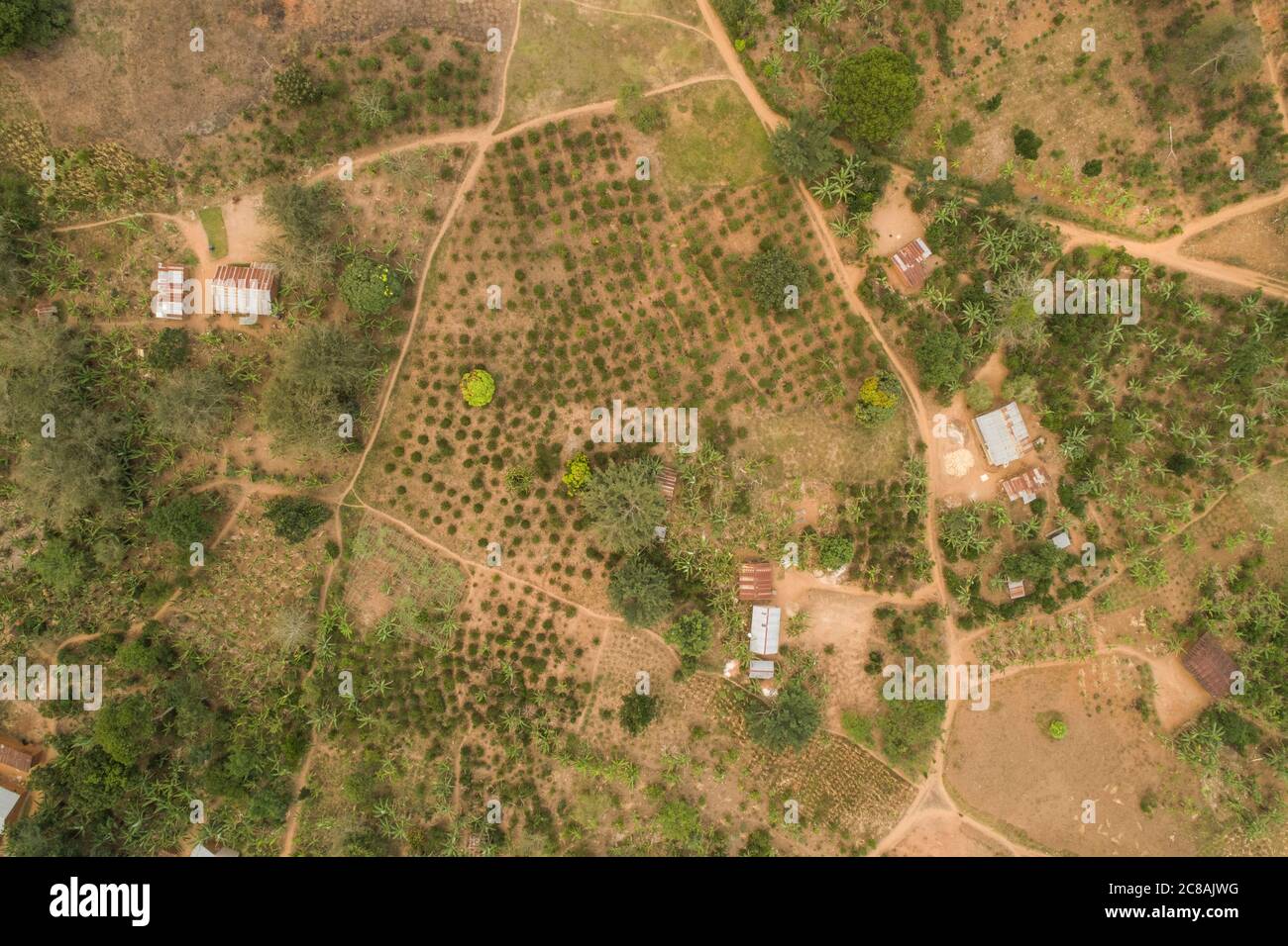 Rural village in Kyotera District, Uganda. LWR Uganda Youth SEED ...