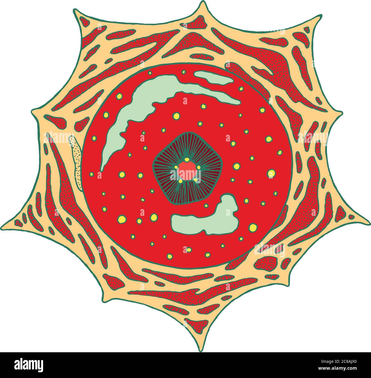 Exotic tropical flower mandala - isolated element. Vector graphic art ...
