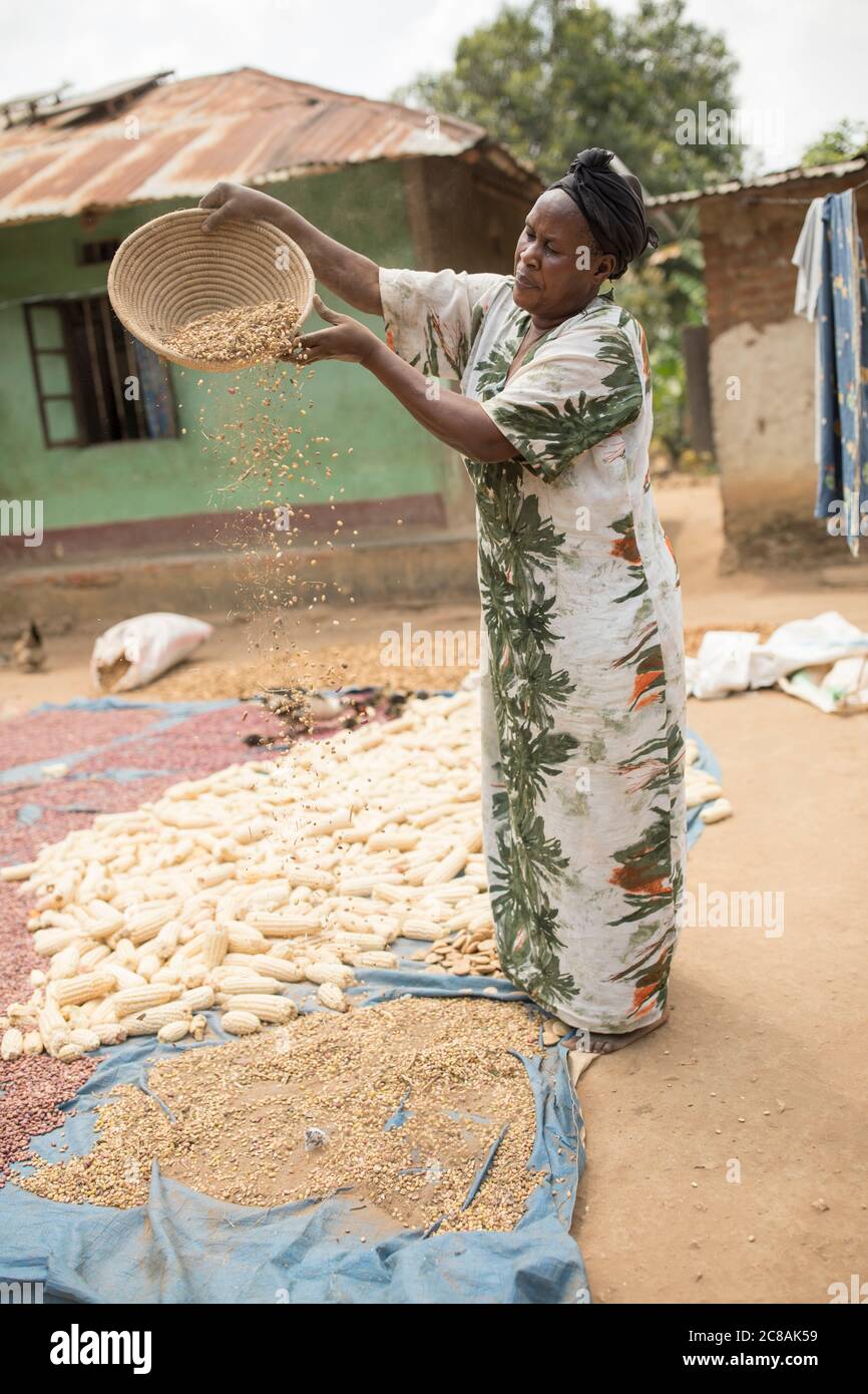 African farm with hut hi-res stock photography and images - Alamy