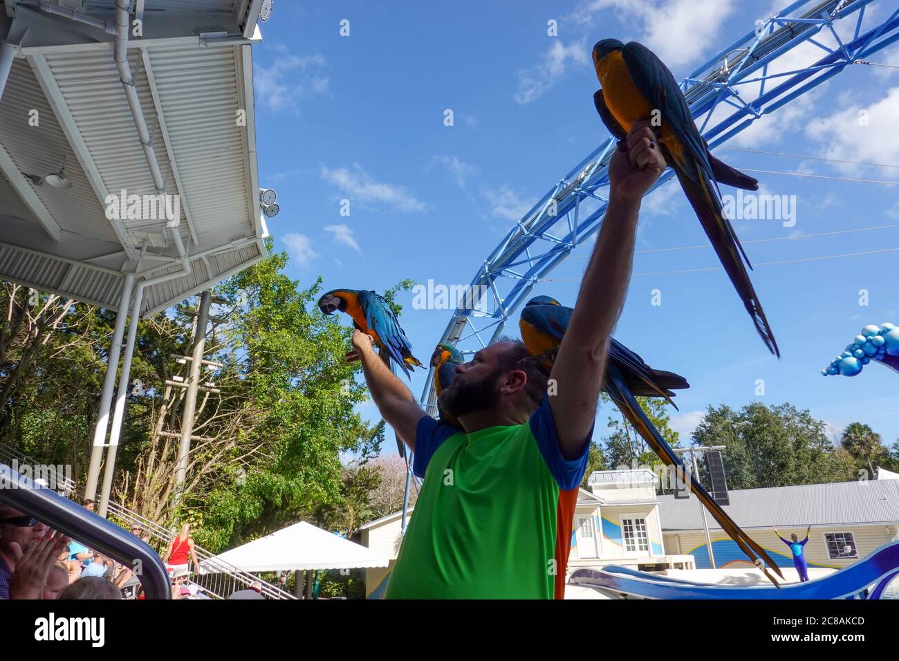 20 most beautiful birds in the world hi-res stock photography and ...