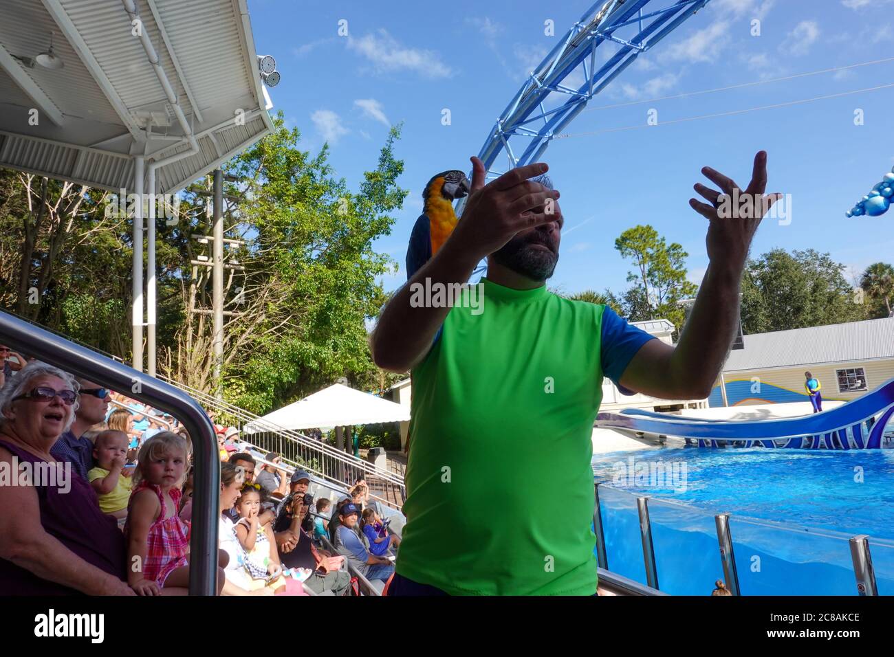 20 most beautiful birds in the world hi-res stock photography and ...