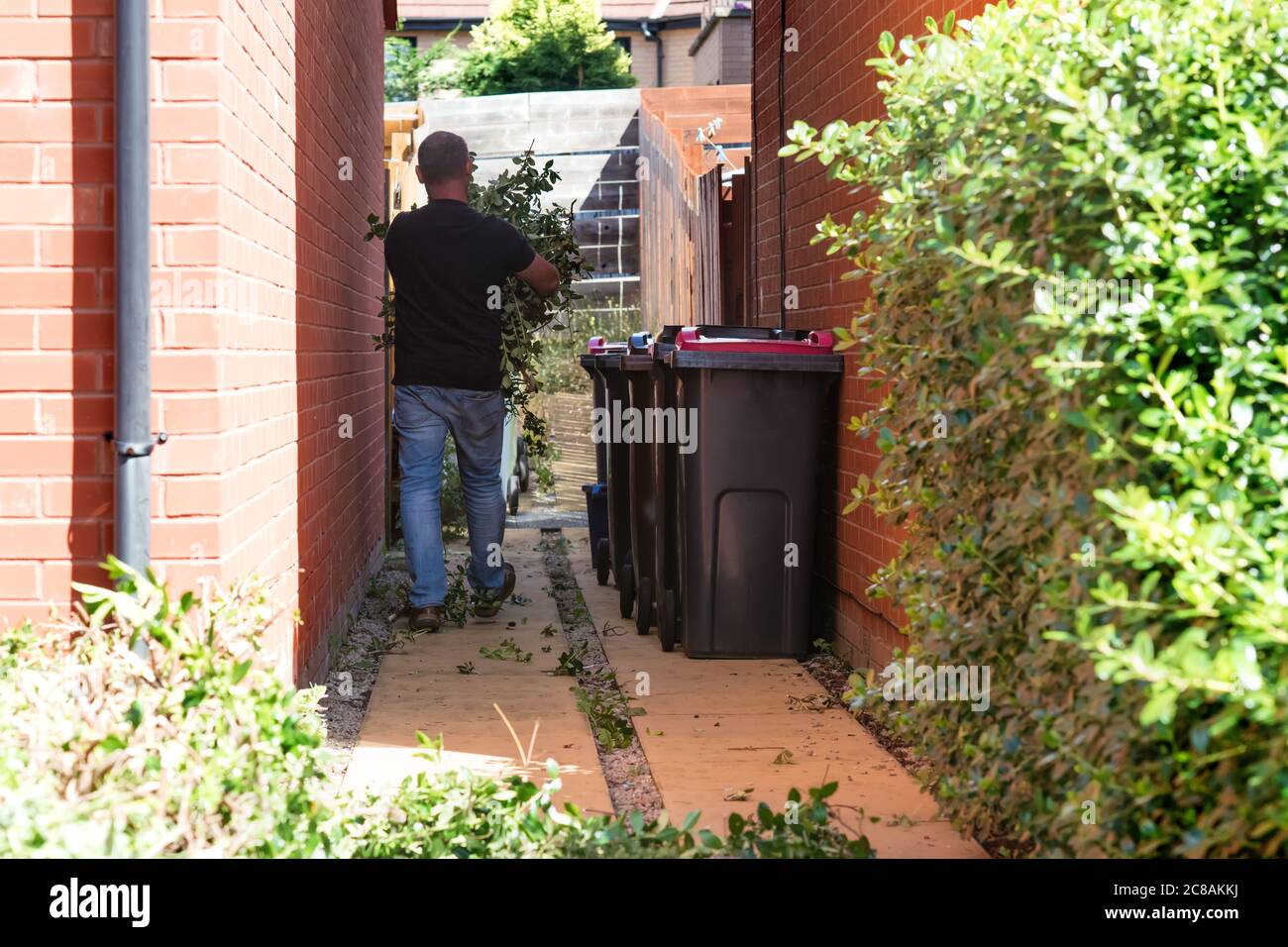 man cleaning and putting litter to the bins Stock Photo - Alamy