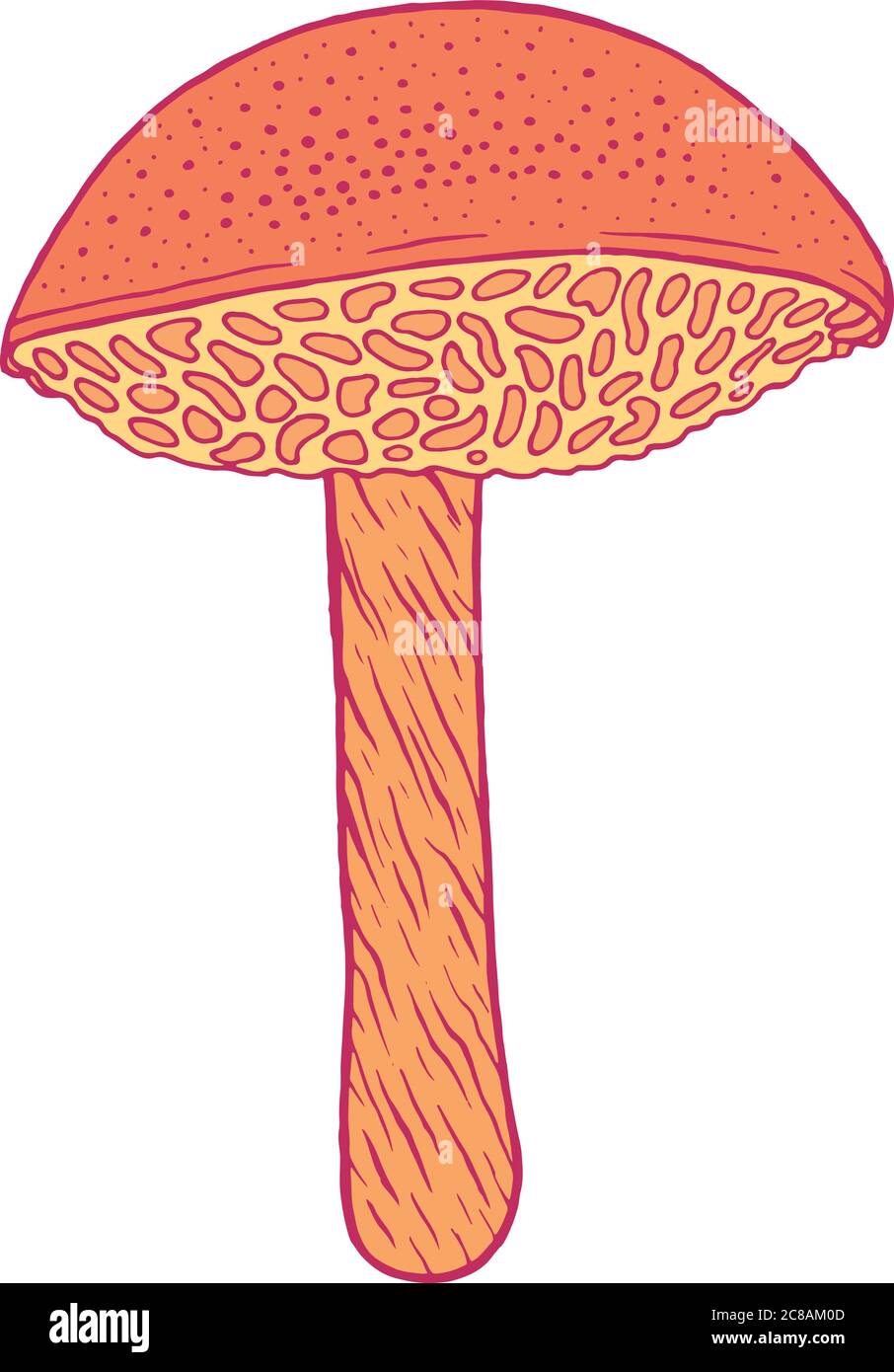 Moss - edible mushroom. Doodle cartoon coloring page for adults Stock ...