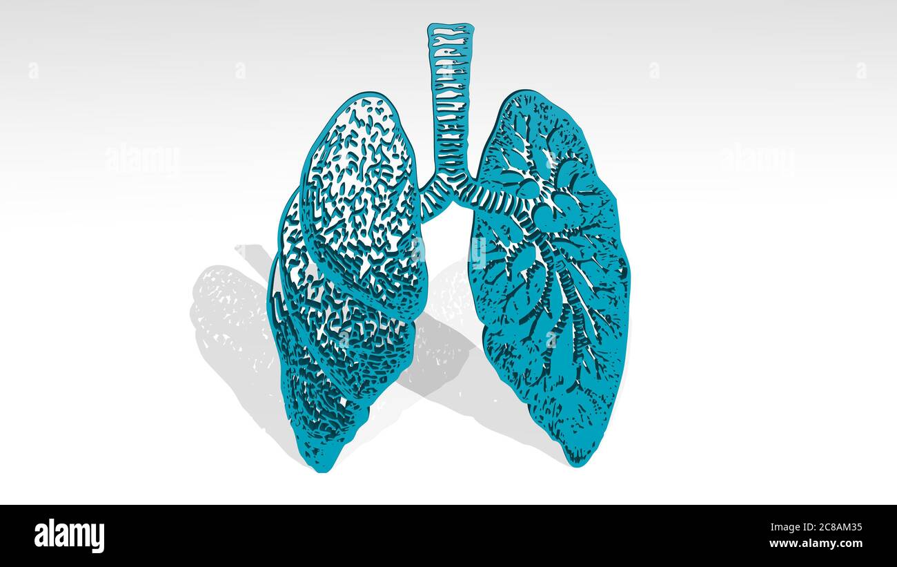 HUMAN LUNG from a perspective with the shadow. A thick sculpture made ...