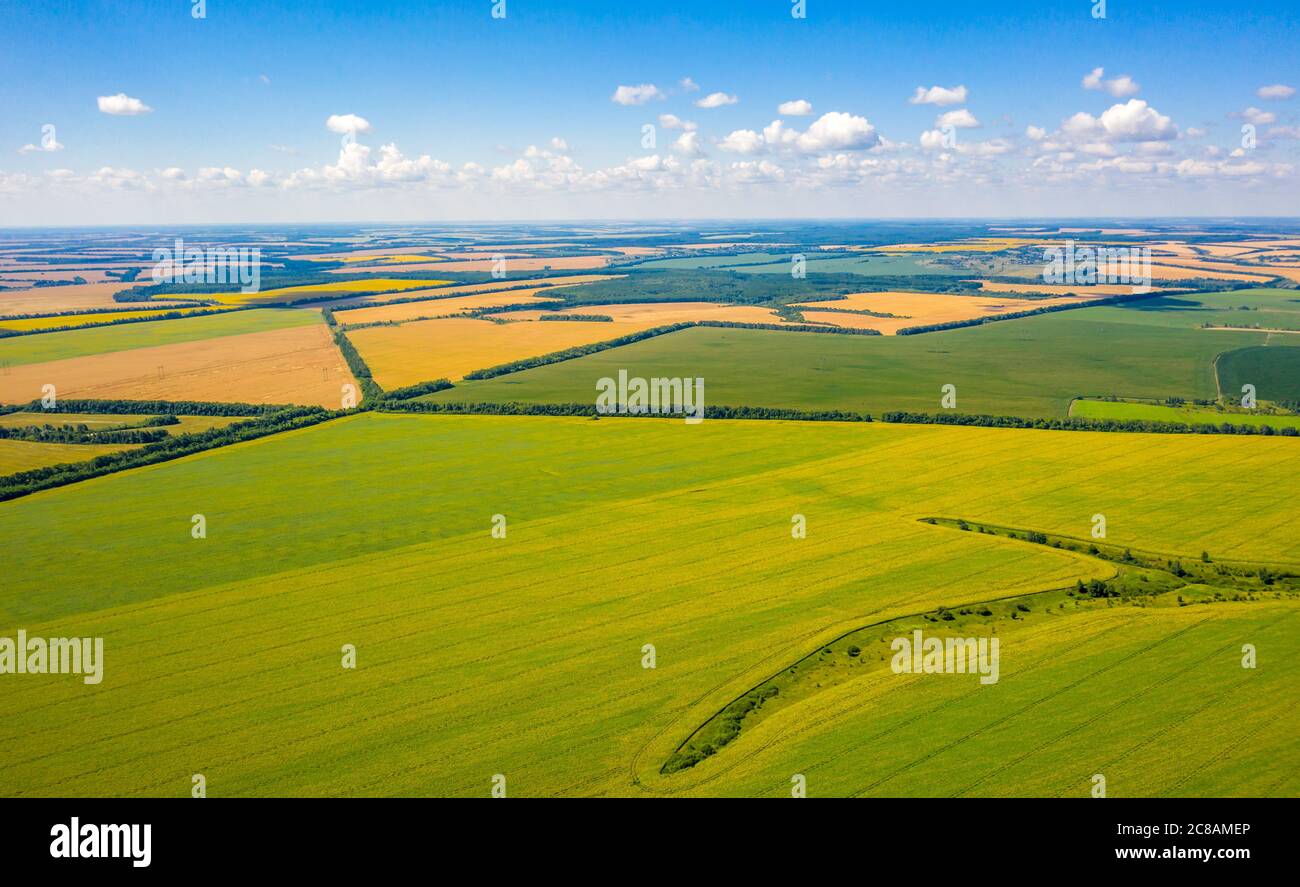 field geometry, top view of multi-colored fields as if drawn on a ruler ...