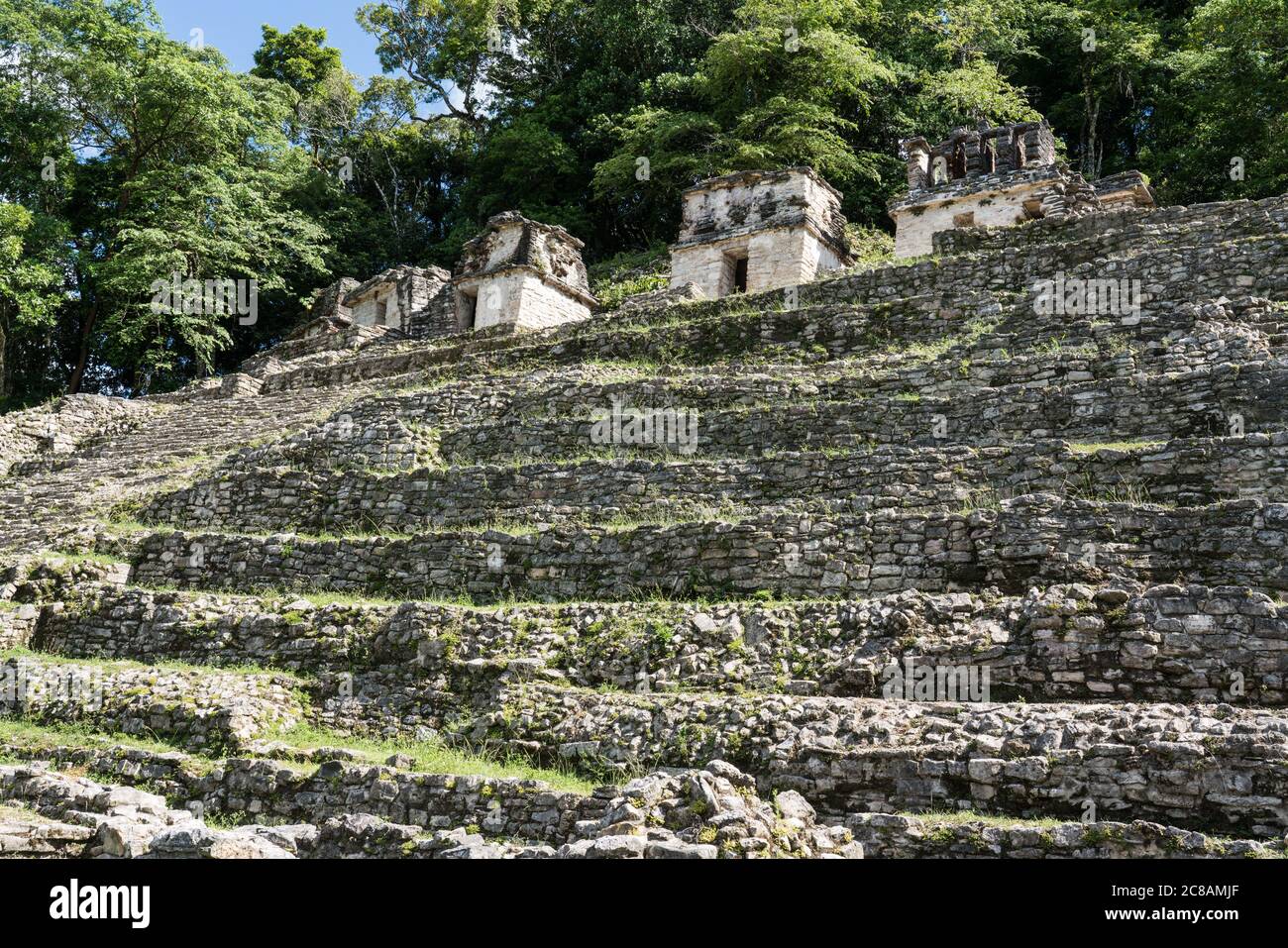 Temples III, IV, V, and VI on top of a pyramid in the ruins of the ...