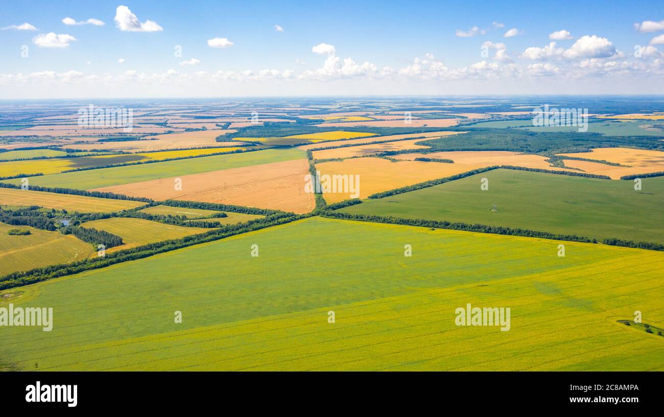 field geometry, top view of multi-colored fields as if drawn on a ruler ...