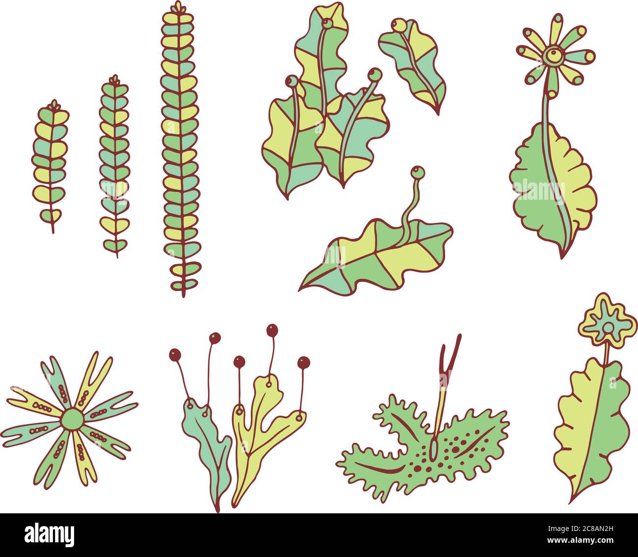Moss elements collection. Set of color doodle plants and branches ...