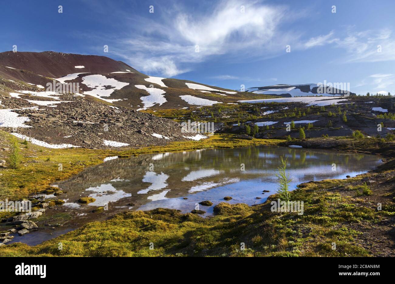 Beautiful Natural Alpine Lake in green Meadow and Summertime Canadian ...