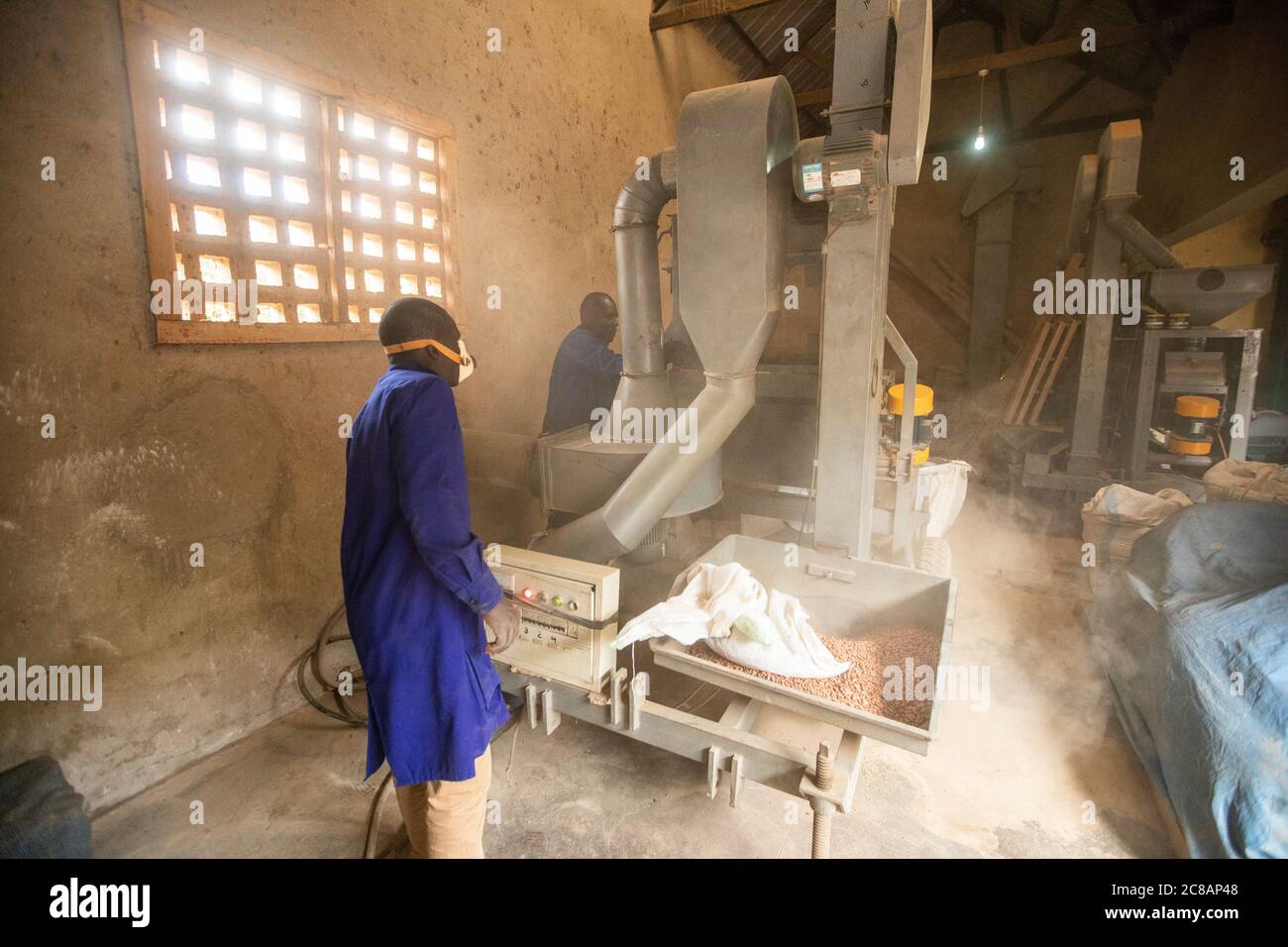 A worker pours dry beans into a refining machine, which automatically ...