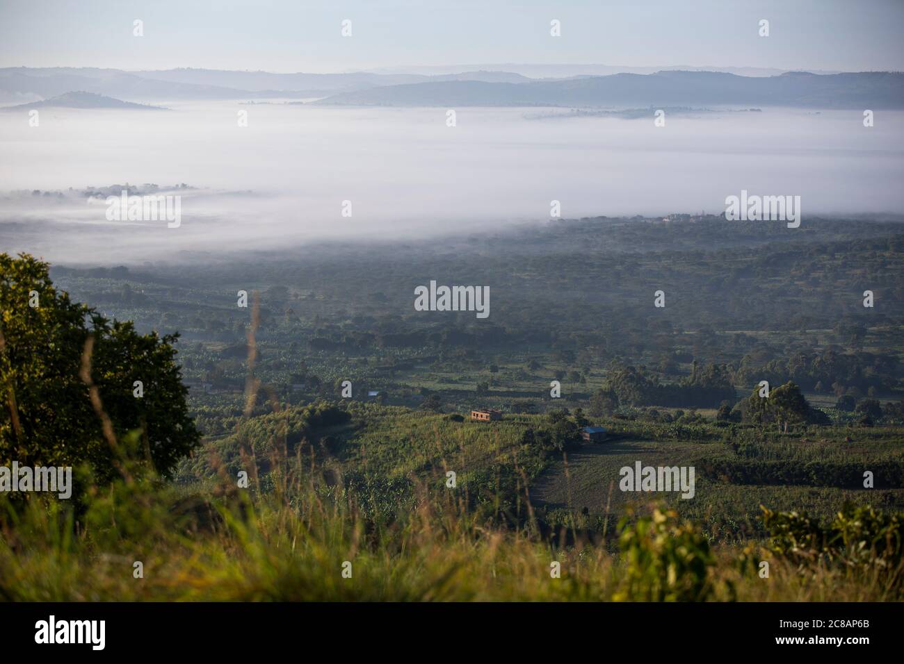 Fog envelops a valley beneath rolling hills and communities of ...