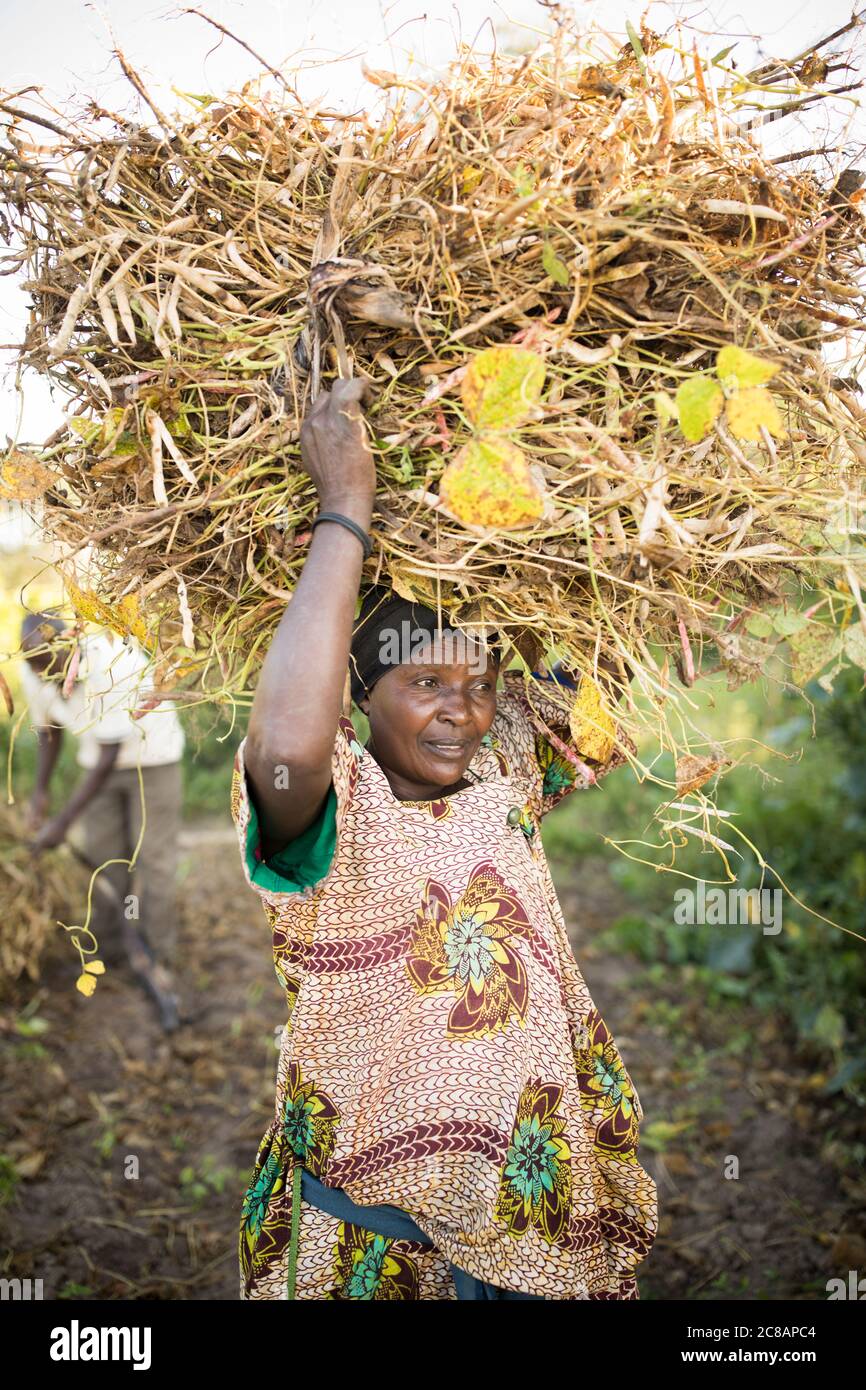Woman carrying bundle on head hi-res stock photography and images - Alamy