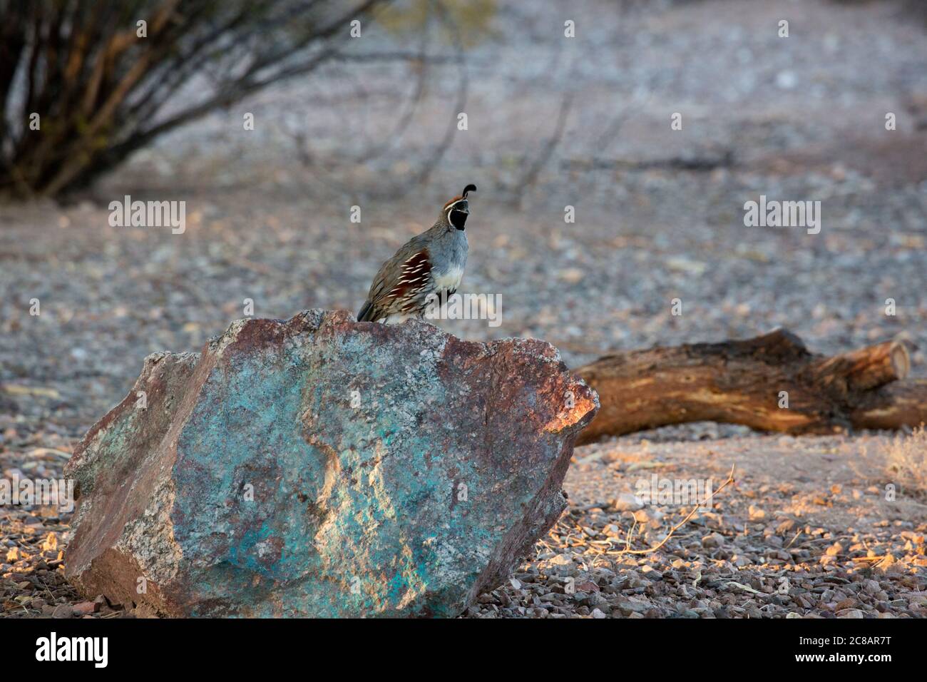Kino blue boulder hi-res stock photography and images - Alamy