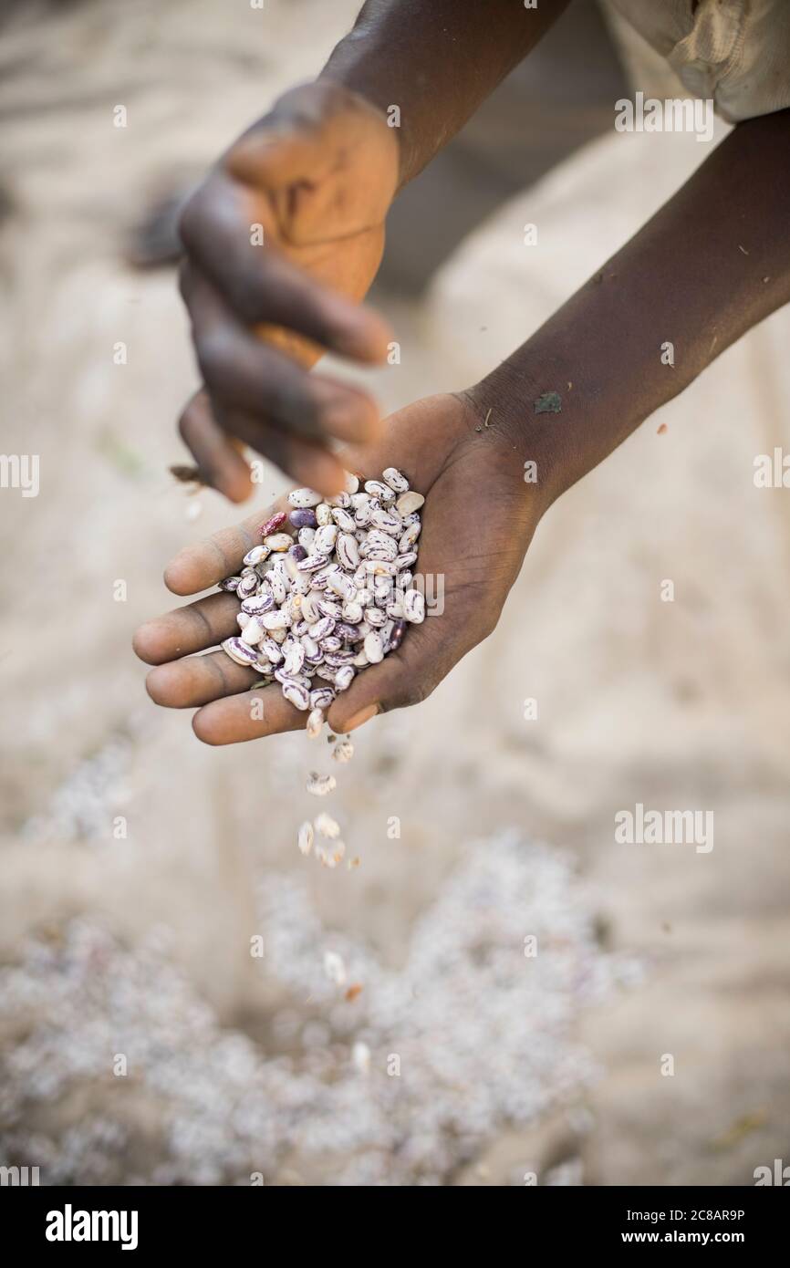 Food and agriculture organization hi-res stock photography and images ...