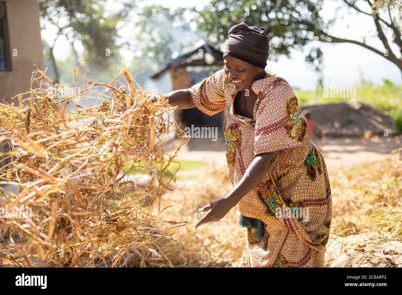 A woman farmer spreads out her harvest of fresh beans to dry in the ...