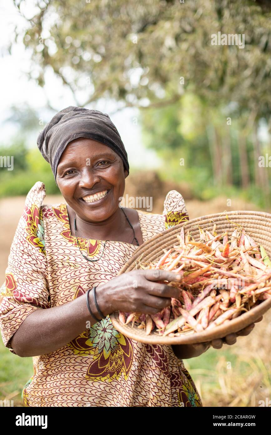 Hands african farmer holding hi-res stock photography and images - Alamy