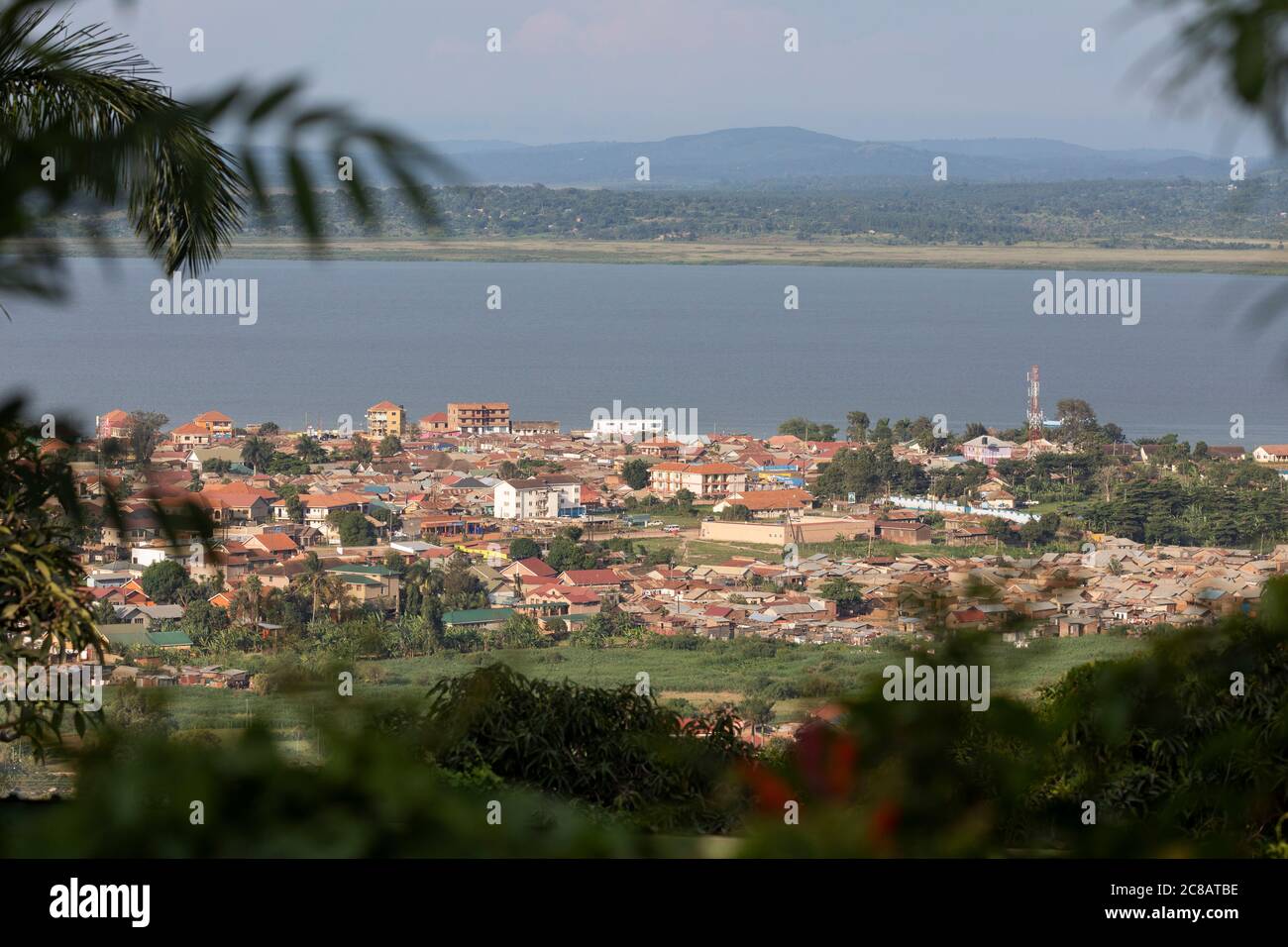 Suburban Kampala, Uganda's capital city, backs up to the shores of Lake ...