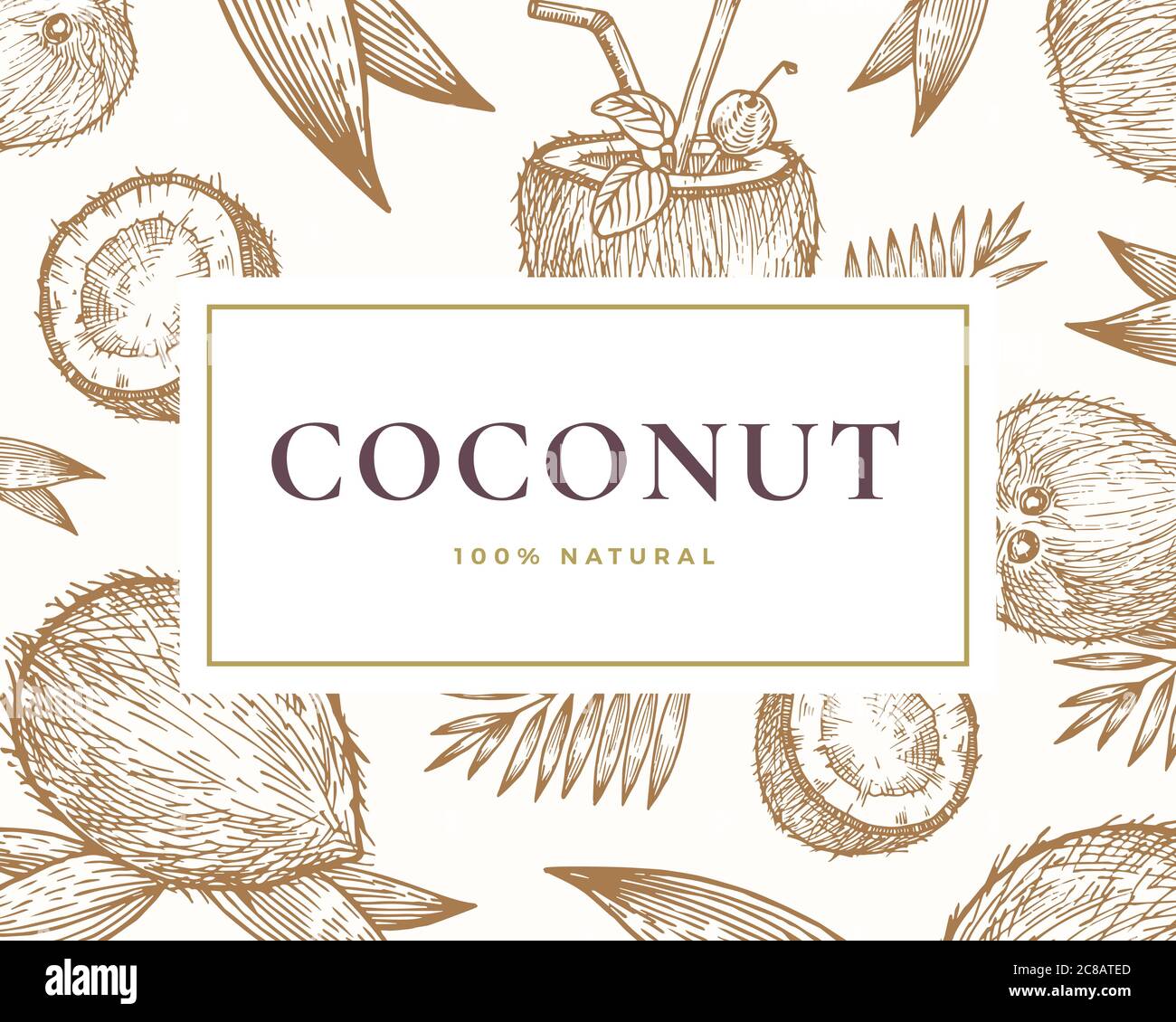Hand Drawn Coconut Illustration Card. Abstract Vector Hand Drawn ...