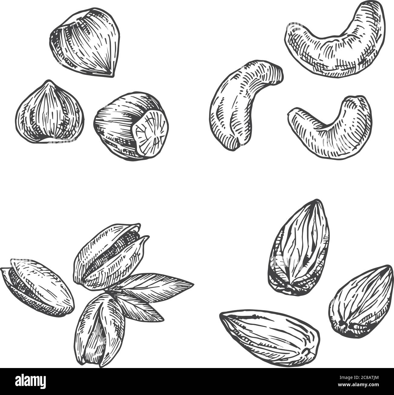 Nuts Illustration. Almond, Cashew, Hazelnut and Pistachios Abstract ...