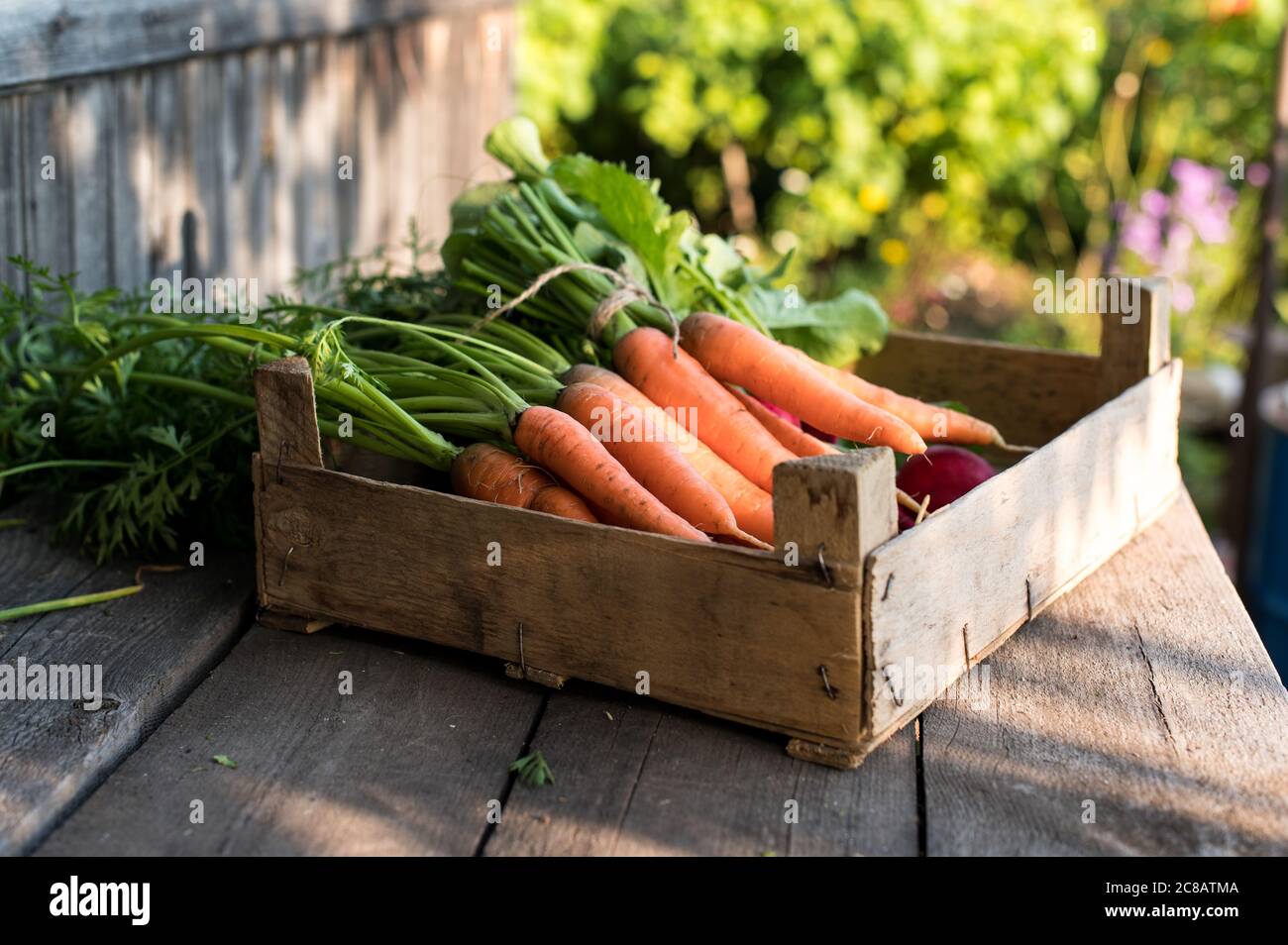 Fresh organic vegetables in a wooden box. Concept for root vegetable ...