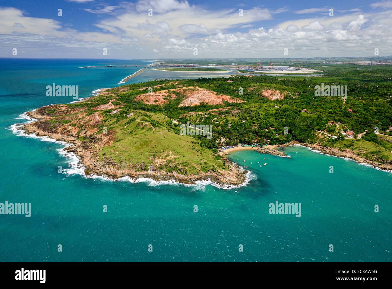 Recife forest hi-res stock photography and images - Alamy