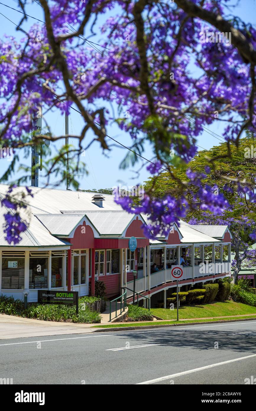 Mapleton Hotel and Jacaranda trees in flower Stock Photo - Alamy