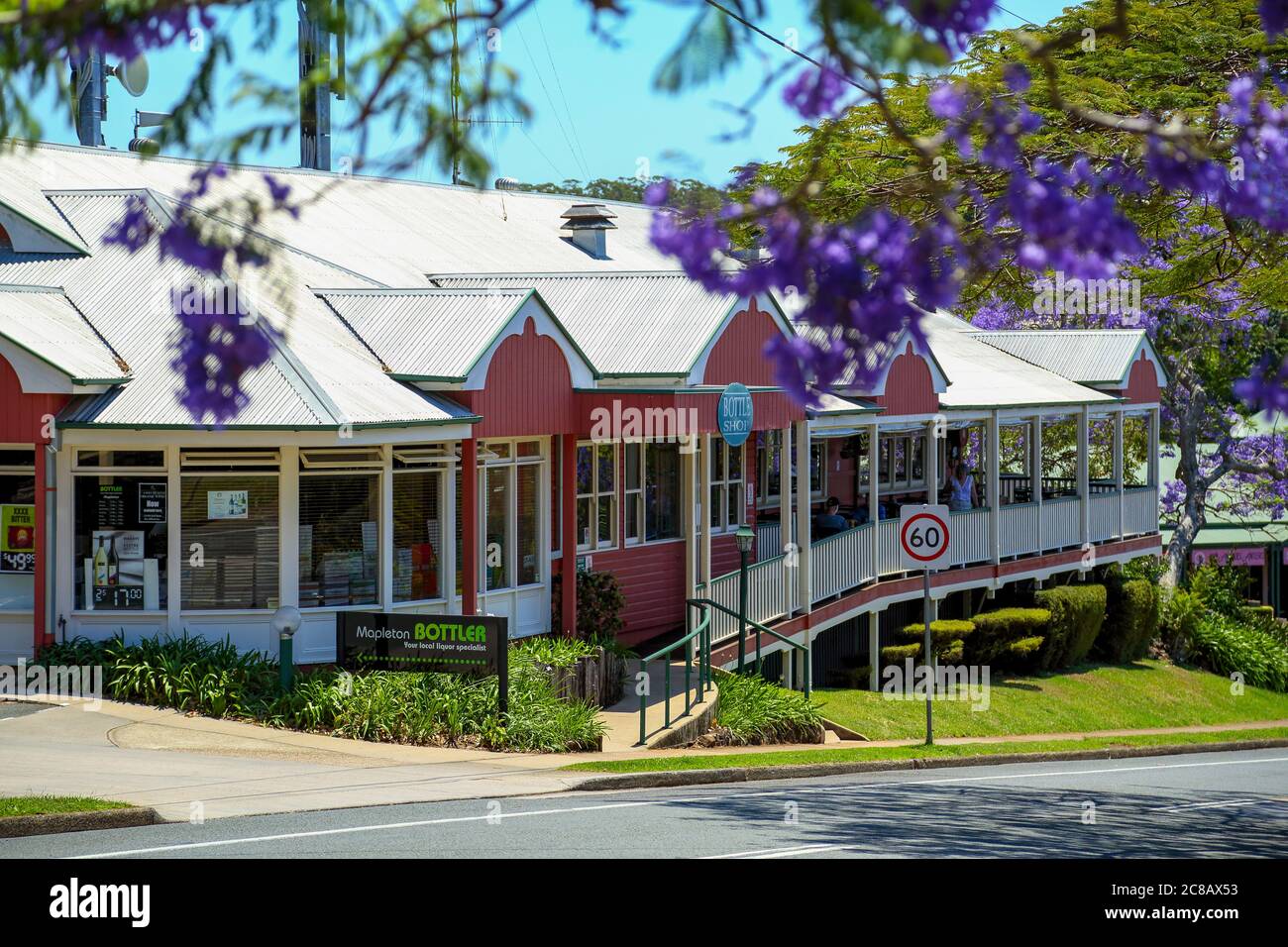 Jacaranda tree blooming hi-res stock photography and images - Alamy