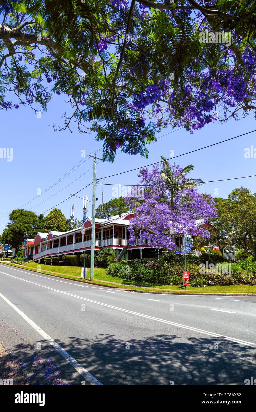 Mapleton Hotel and Jacaranda trees in flower Stock Photo - Alamy
