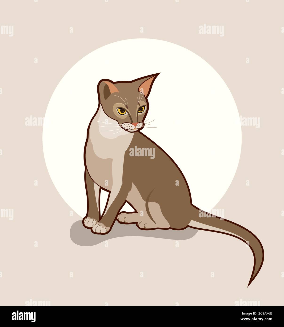 Abyssinian cat vector isolated illustration. Close up portrait of ...