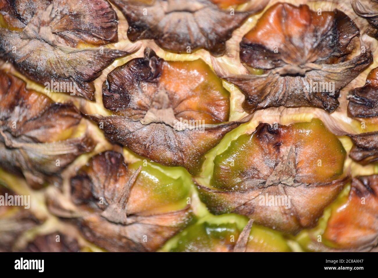 Pineapple in Macro Stock Photo - Alamy