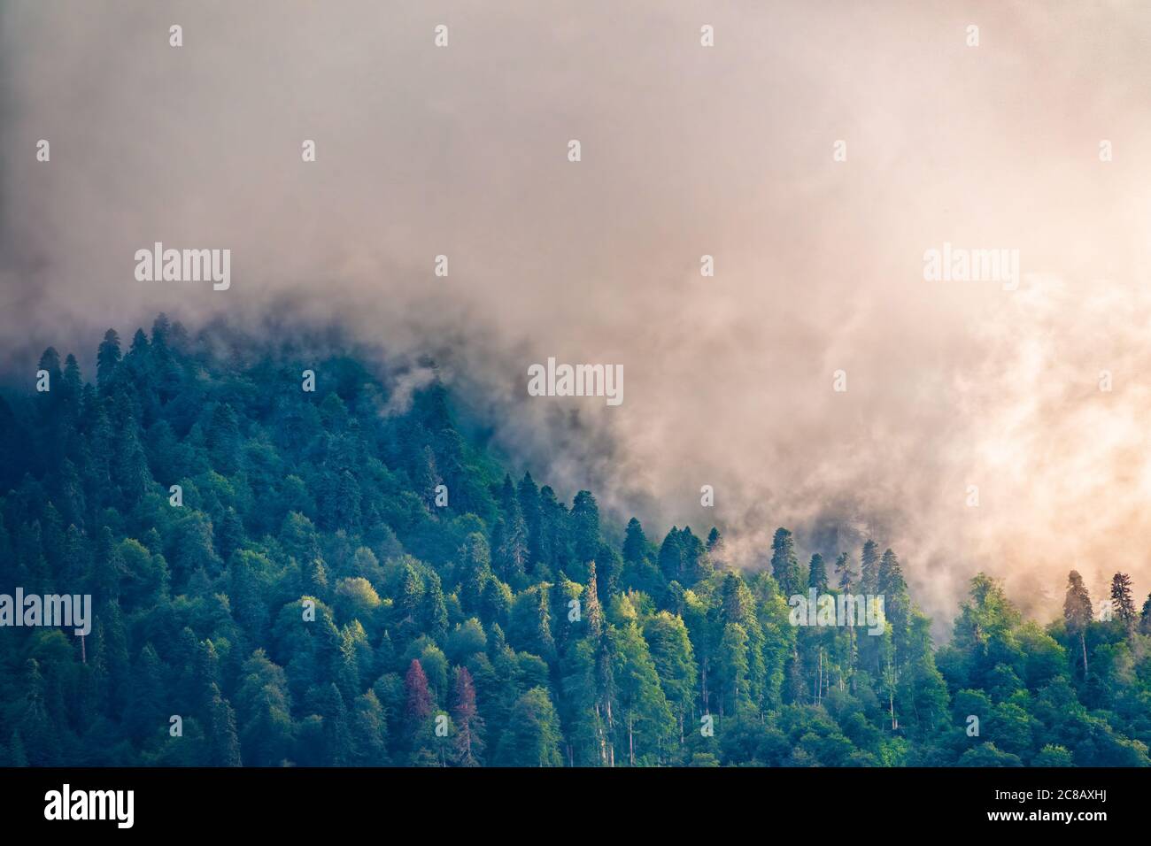 High mountain with green slopes hidden in thick clouds and fog. Heavy ...