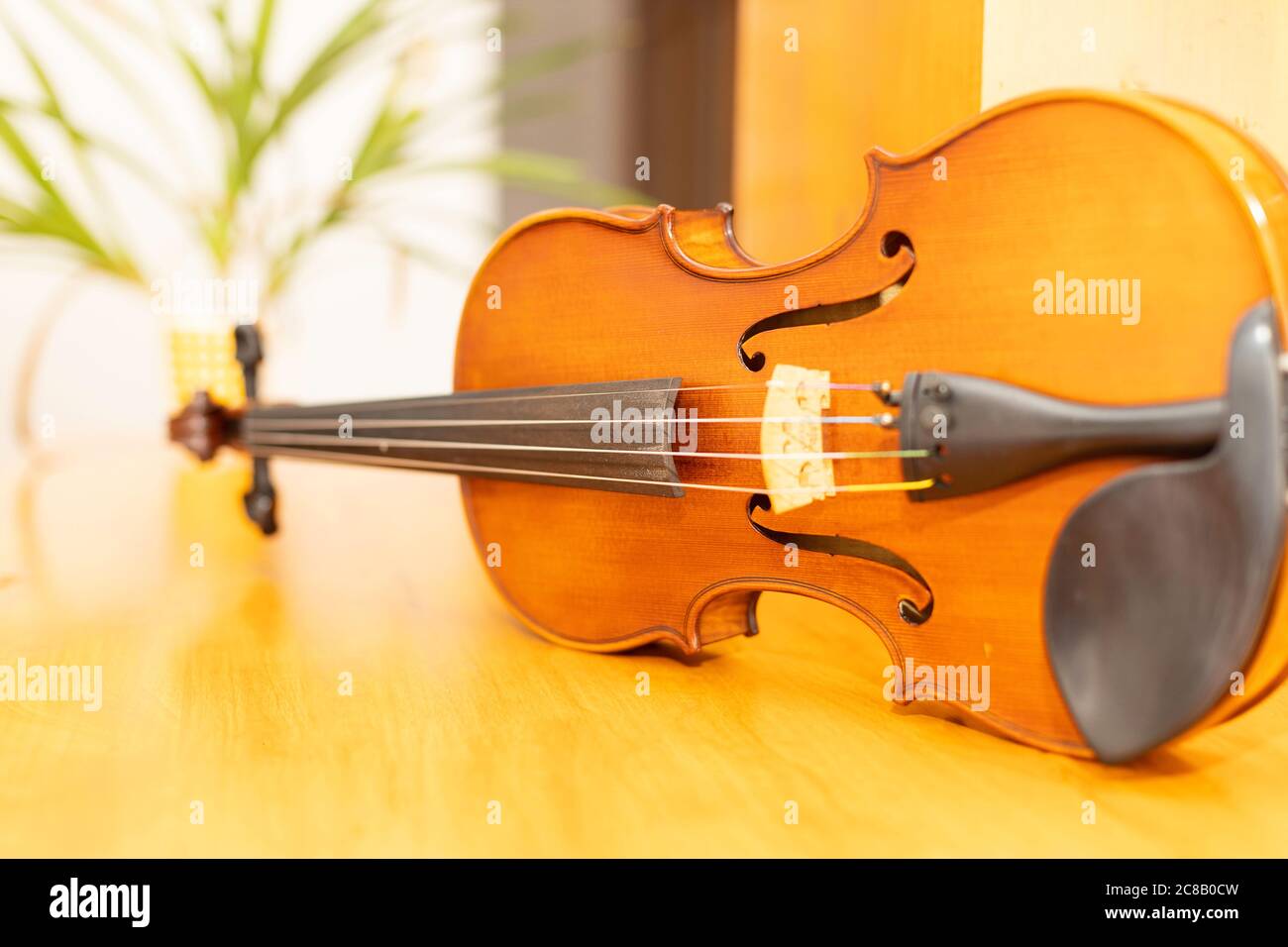 Violin Violins Table High Resolution Stock Photography and Images - Alamy