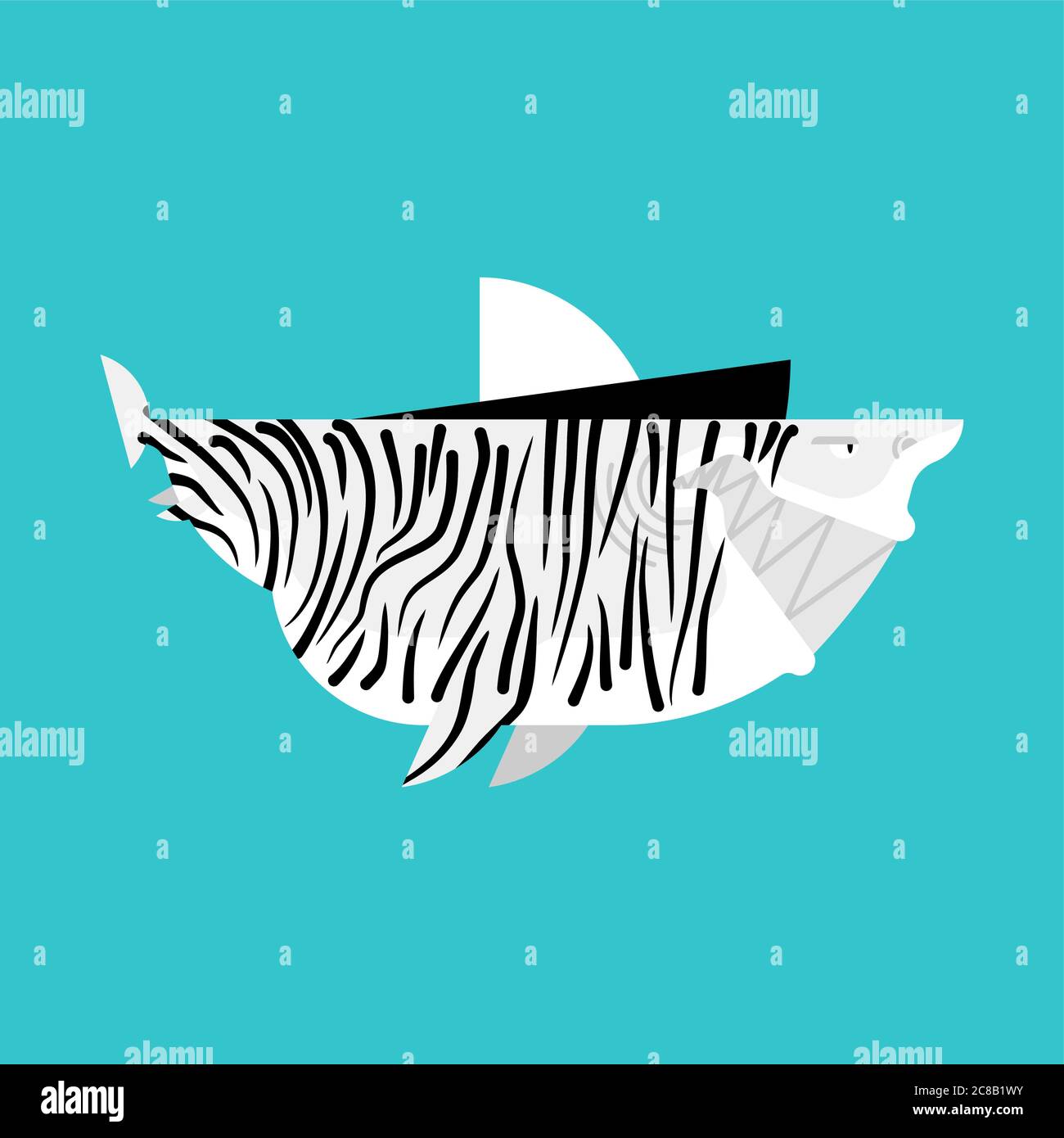 Zebra shark isolated. Sea animal predator. Vector illustration Stock ...